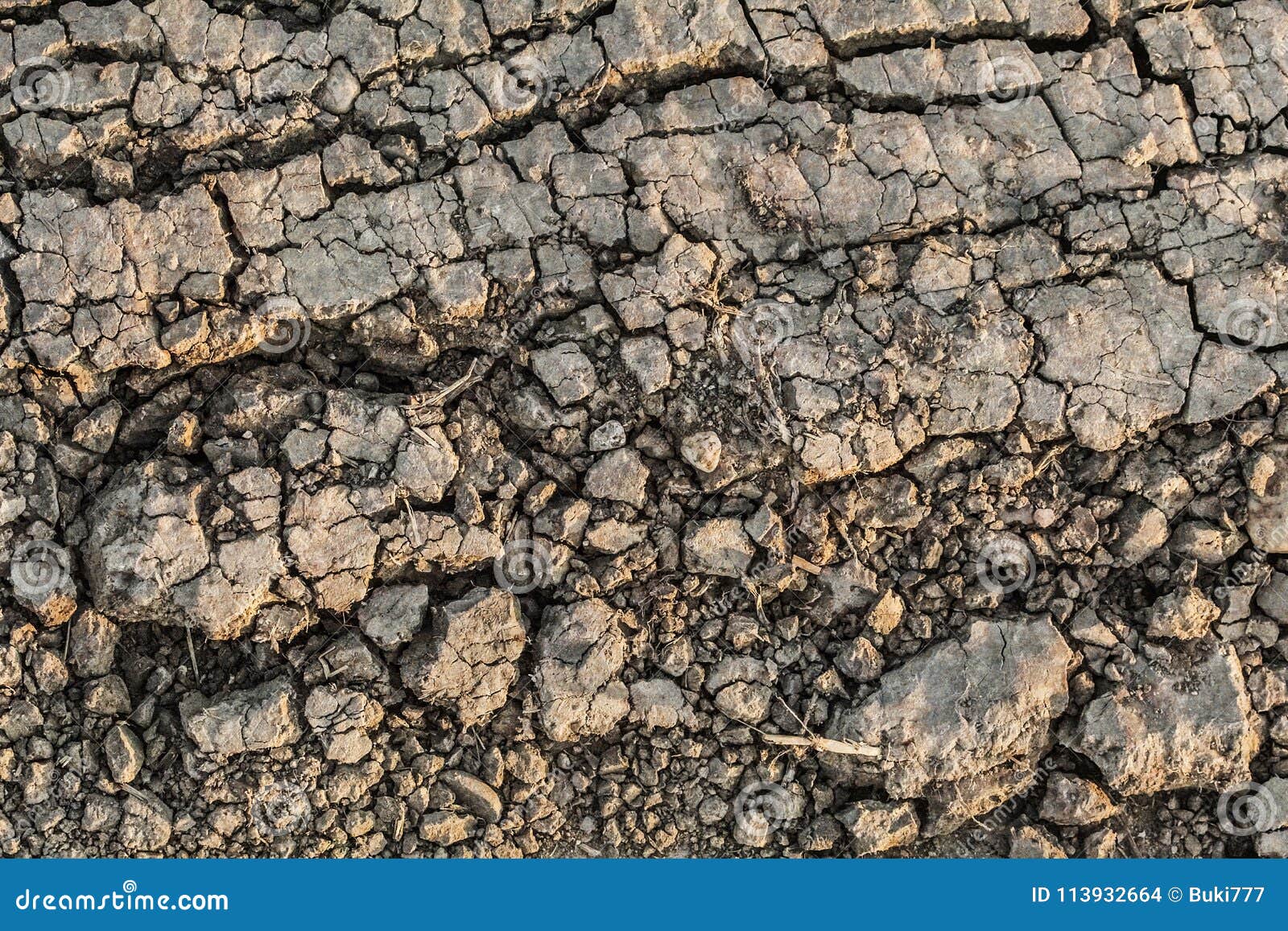 Dry Barren Scorched Soil Cracked Fragmented Rough Desolate Grunge ...