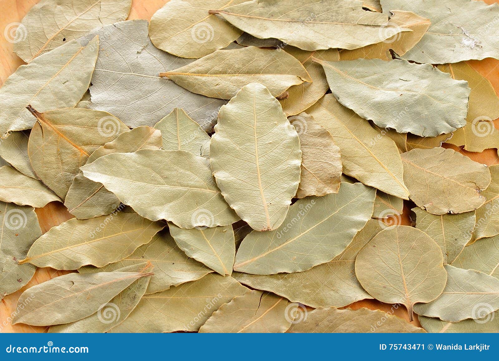 Dry Bay Leaf on Wooden Board Stock Image - Image of nature, condiment ...