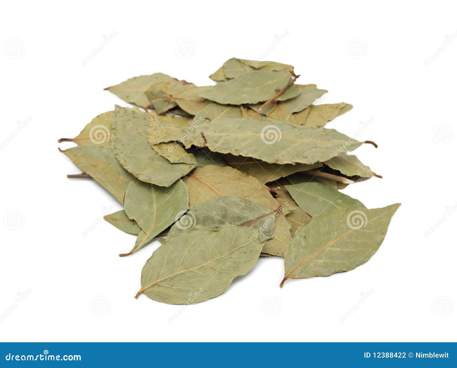 Dry bay leaves, isolated stock photo. Image of herbal - 12388422