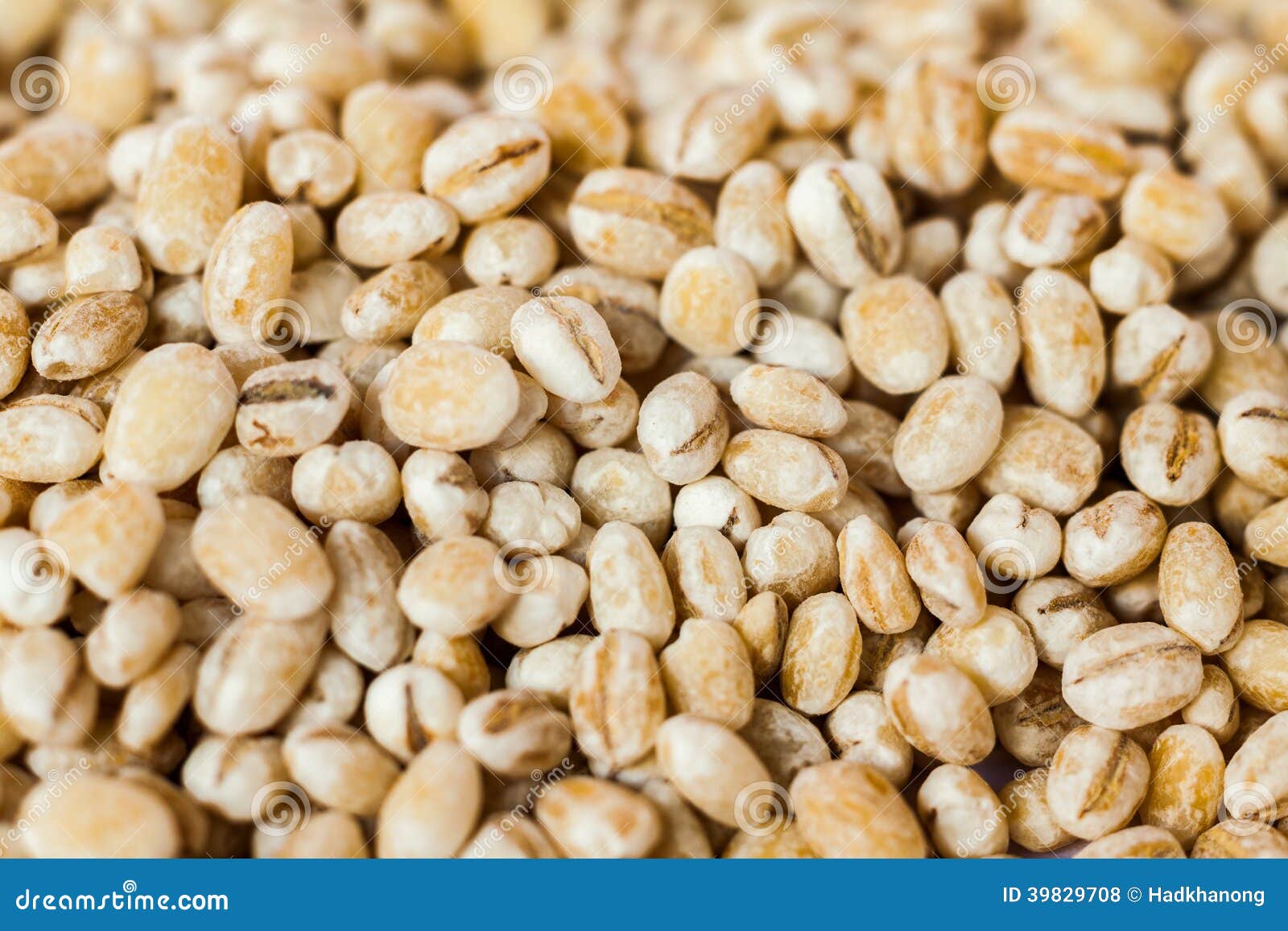 Dry bean and nut stock photo. Image of organic, seed - 39829708