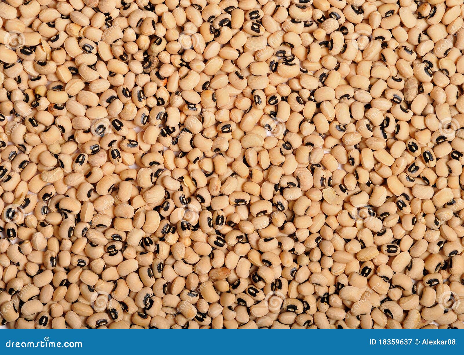 Dry beans stock image. Image of eating, plant, split - 18359637