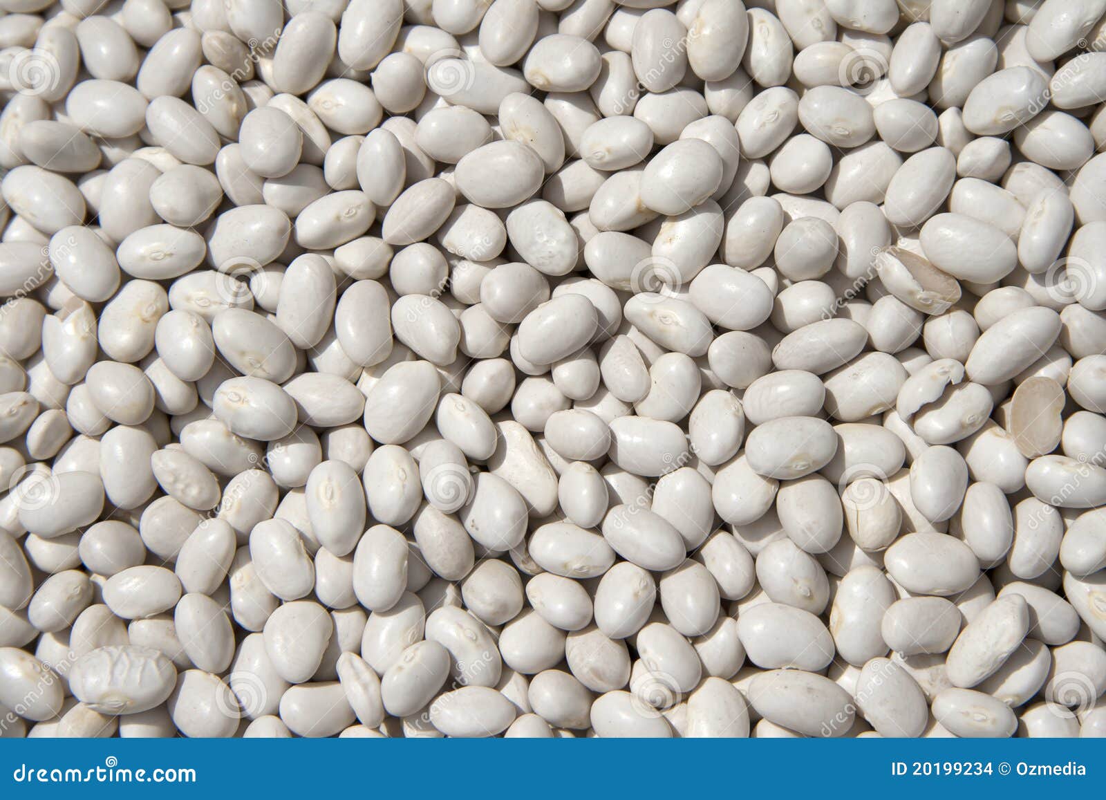 Dry beans stock photo. Image of healthy, beans, organic - 20199234