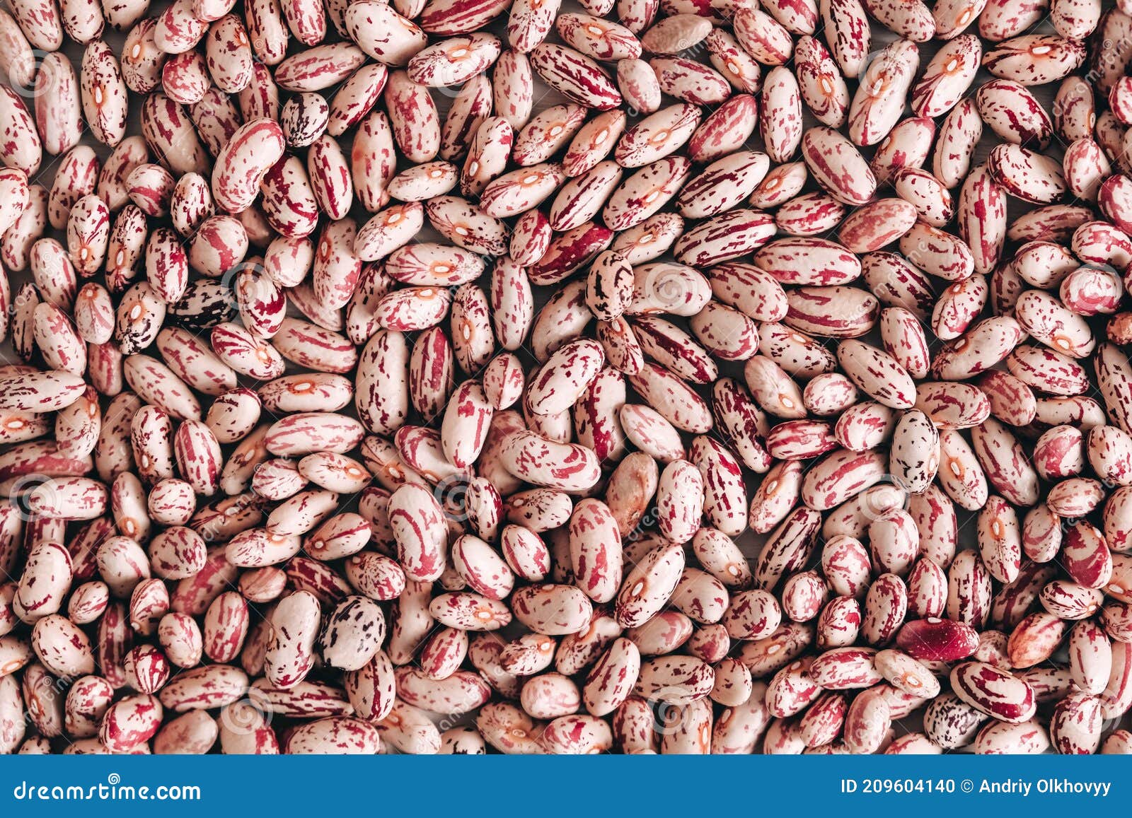 Dry Beans As a Background Texture. Top View Stock Photo - Image of ...