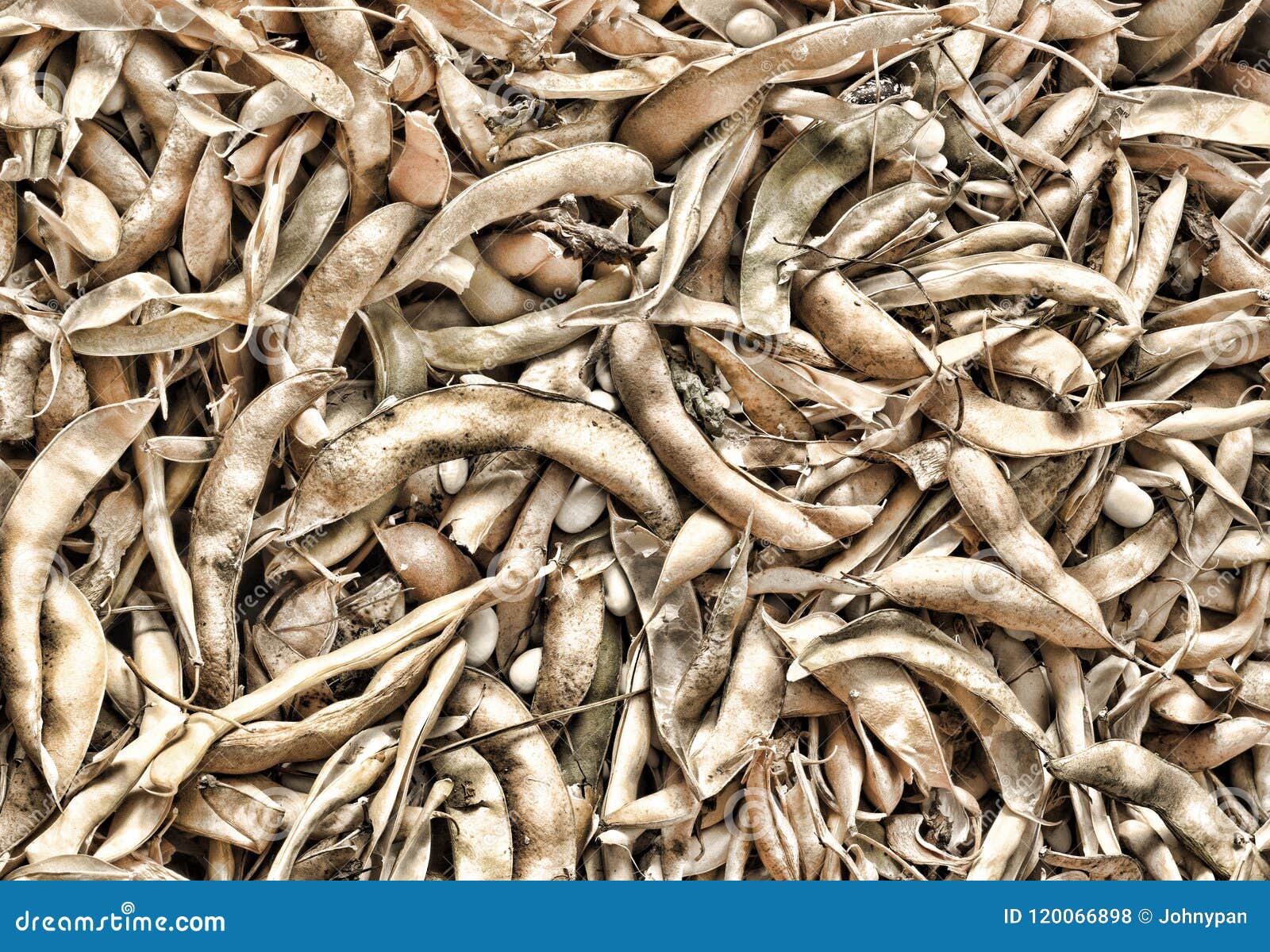 Dry beans texture stock photo. Image of grain, protein - 120066898