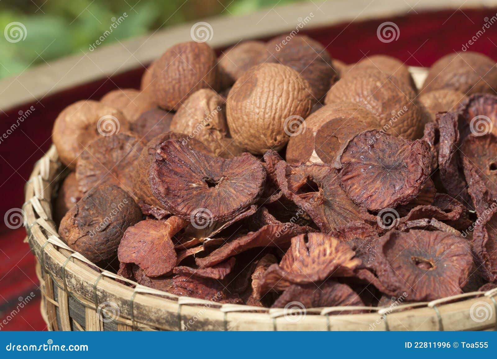 Dry Betel nuts or Areca stock photo. Image of ingredient - 22811996