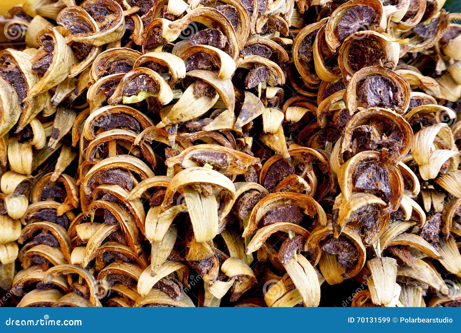 Dry Betel Nuts Thai Texture Stock Image - Image of chewing, buddhism ...