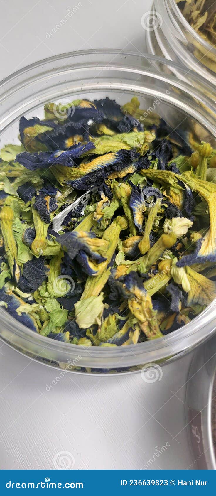 Dry blue pea flower stock image. Image of vegetable - 236639823