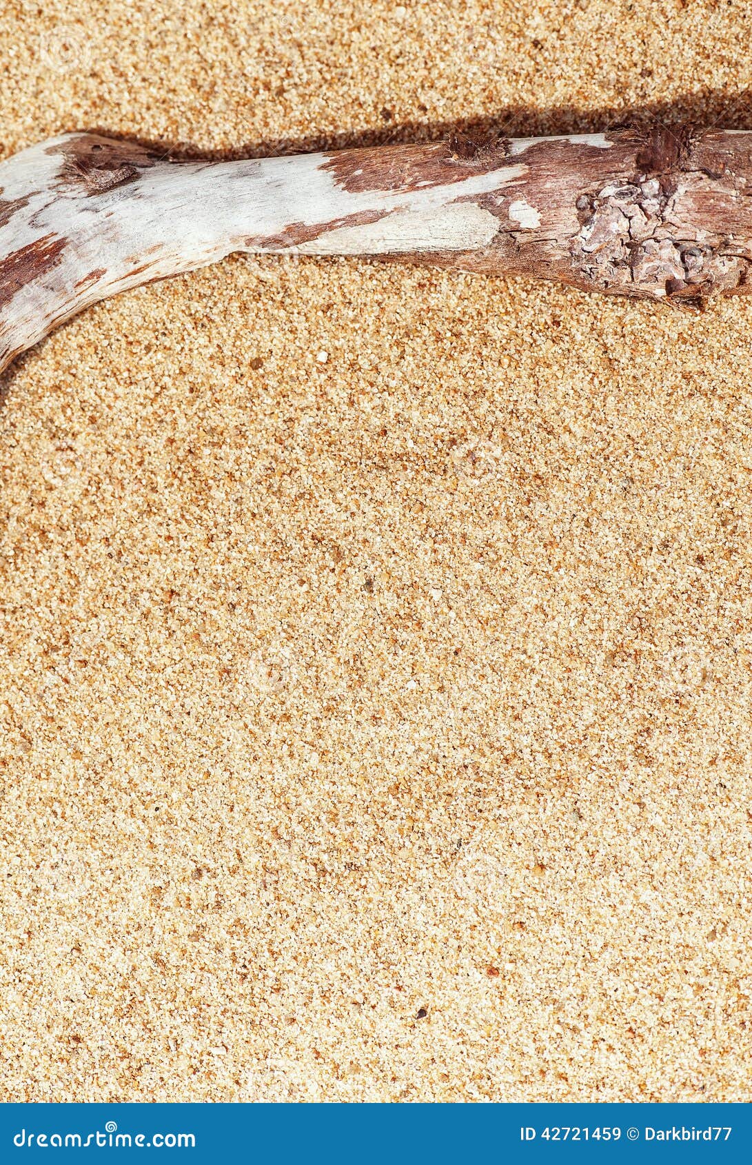 Dry branch on the sand stock image. Image of holiday - 42721459