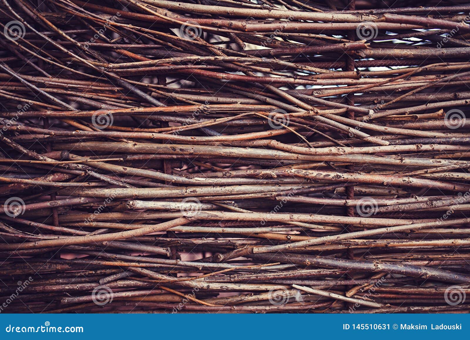 Dry branches texture stock image. Image of dirty, rural - 145510631