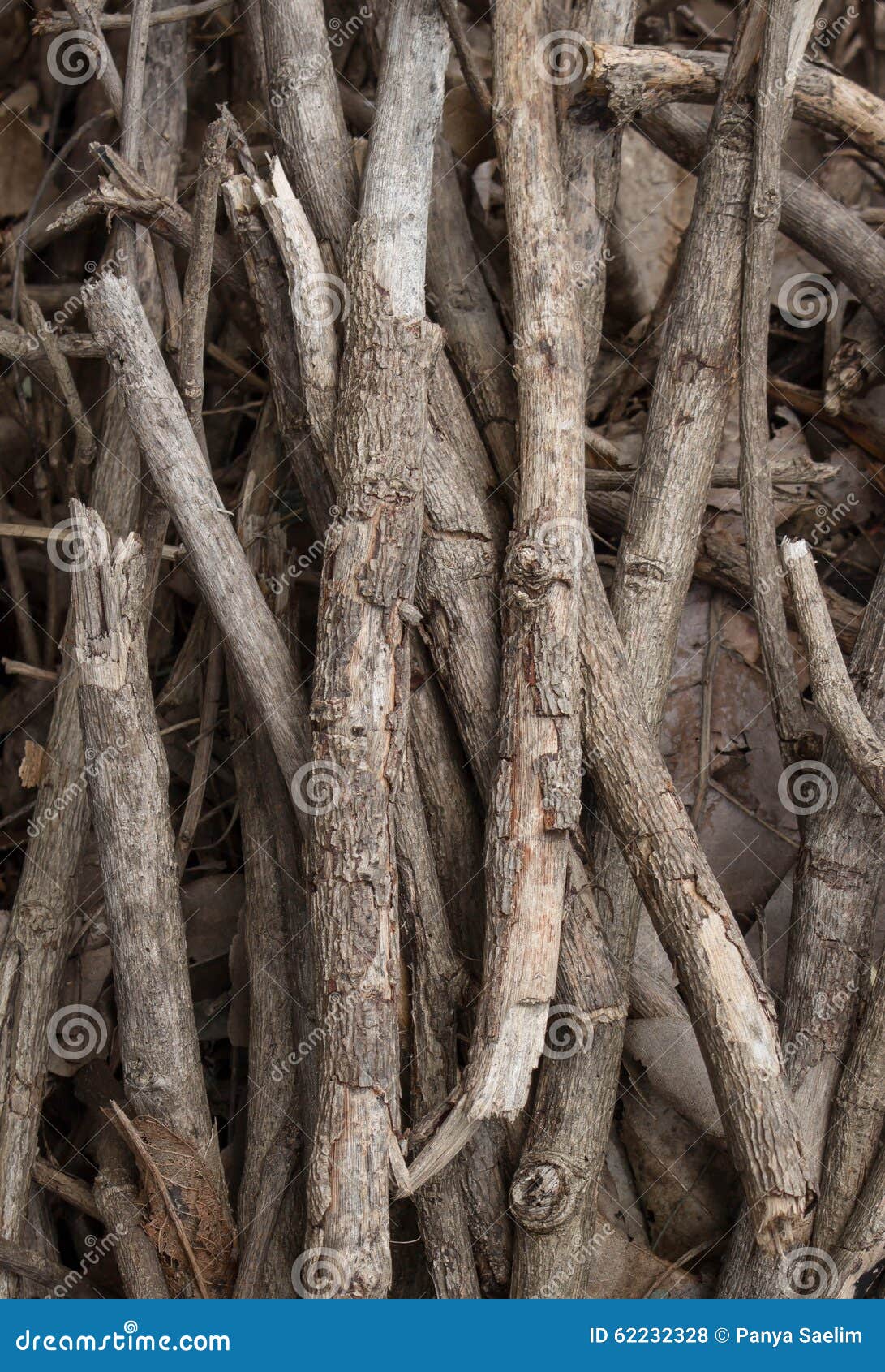 Dry branches texture stock photo. Image of bunch, dark - 62232328