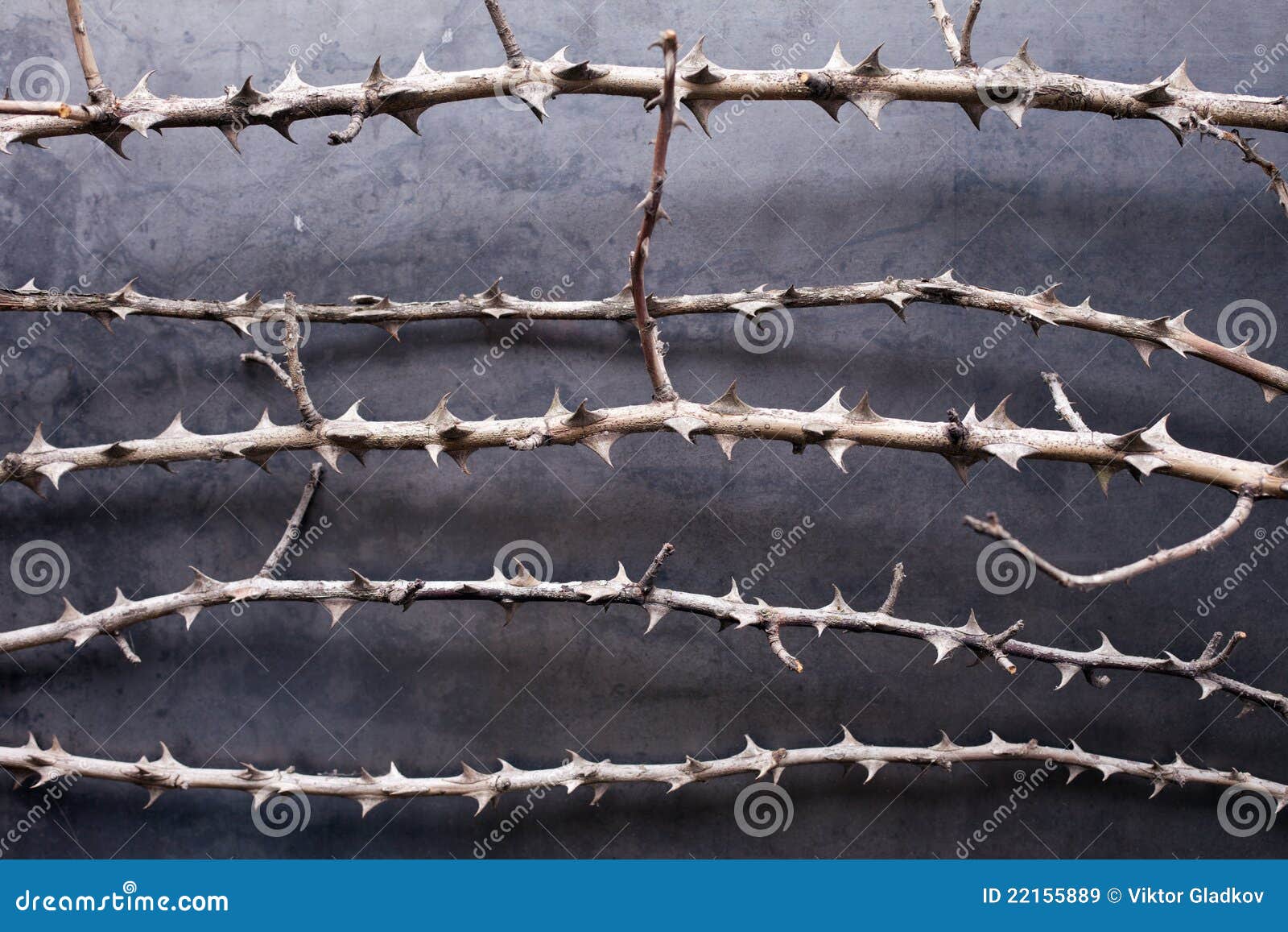 Thorn Metal Steel Royalty-Free Stock Photography | CartoonDealer.com ...