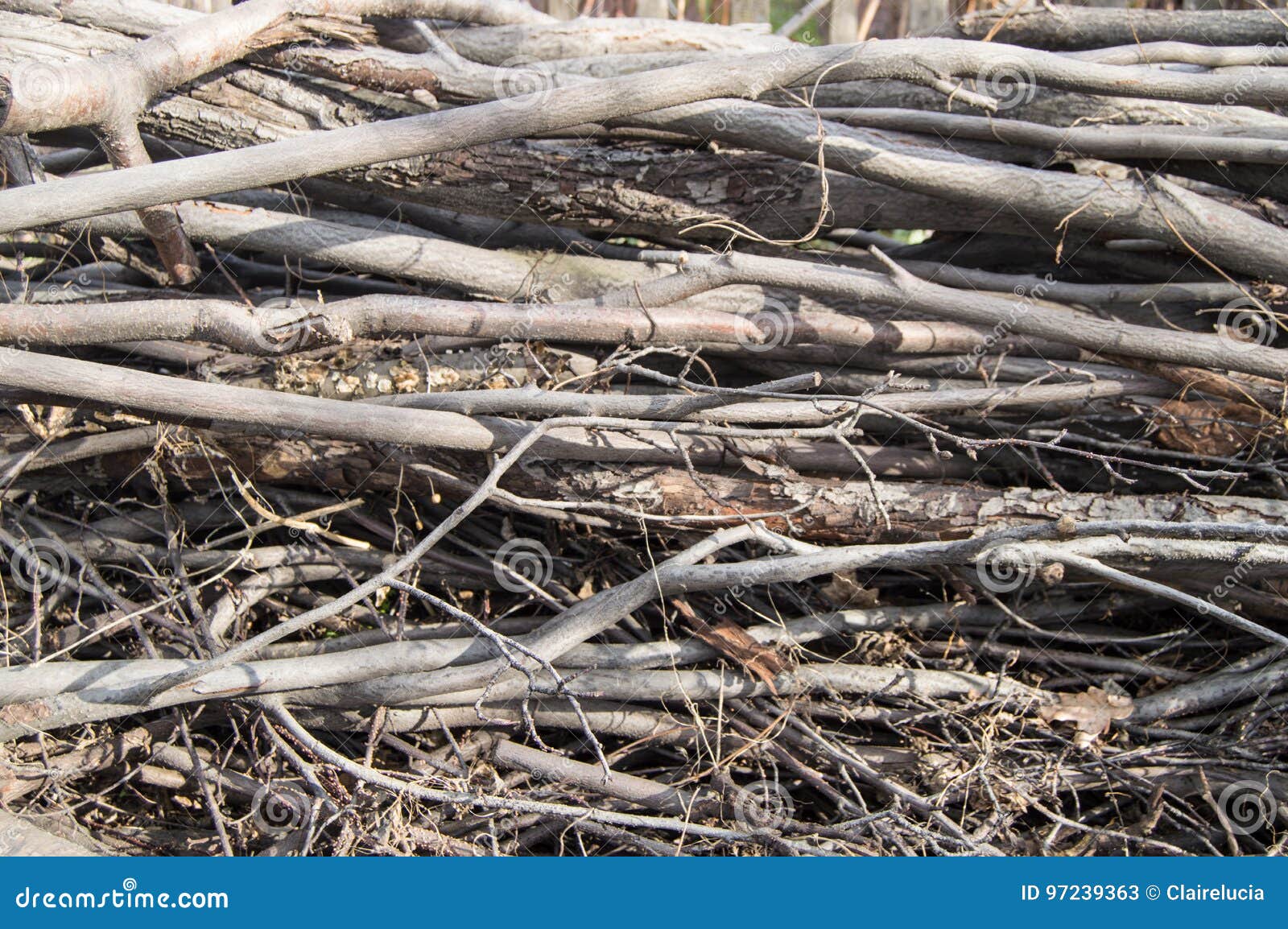 Dry Branches and Tree Trunks-natural, Organic Background, Texture Stock ...