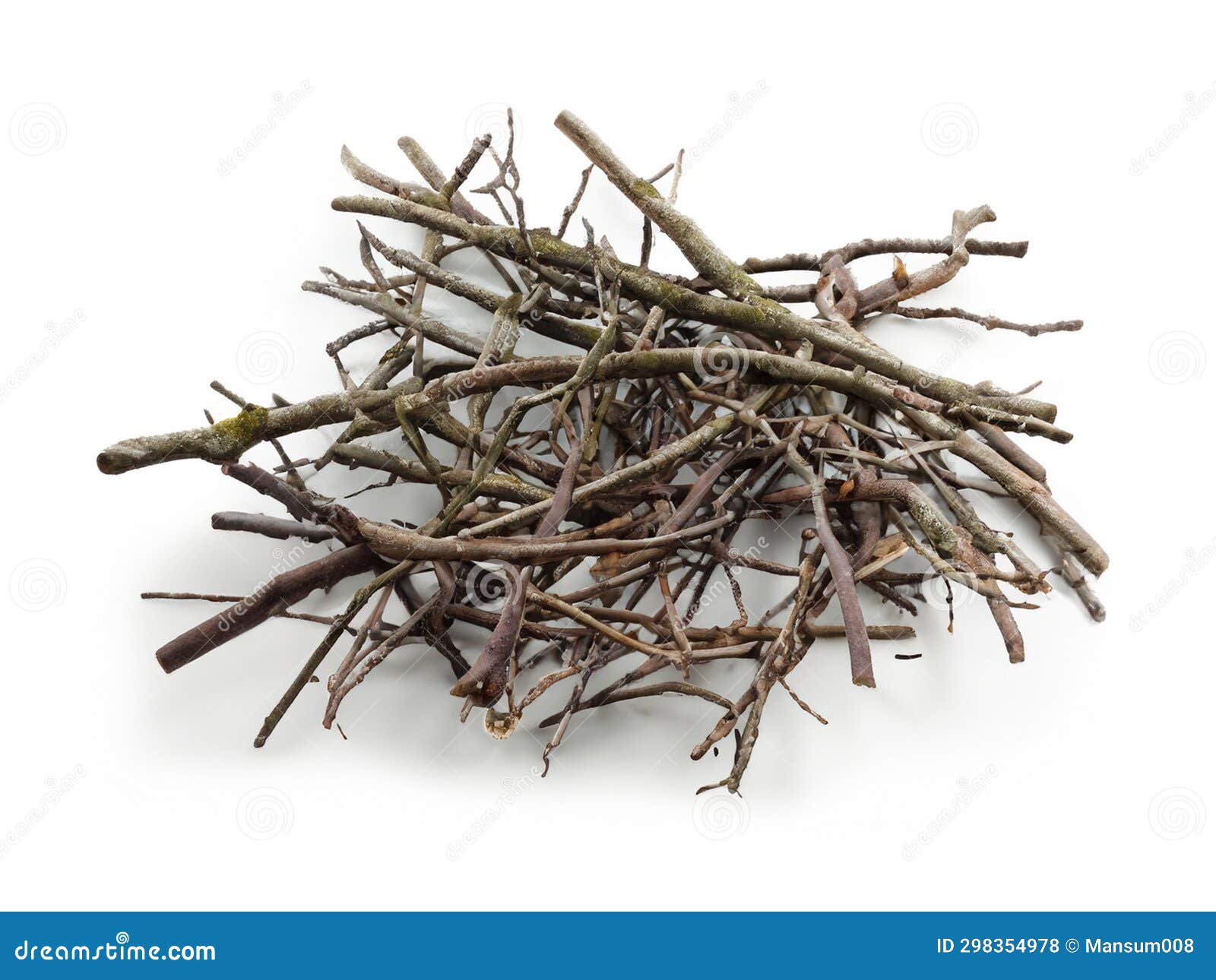 Dry Branches on White Background Stock Photo - Image of spring, stem ...