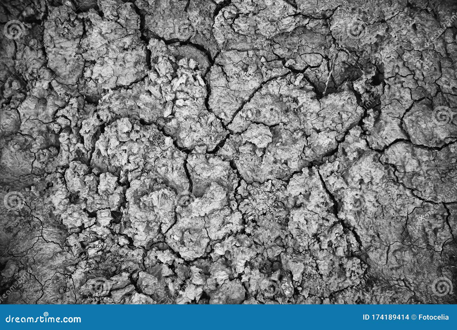 Dry and broken field stock photo. Image of carcked, earth - 174189414