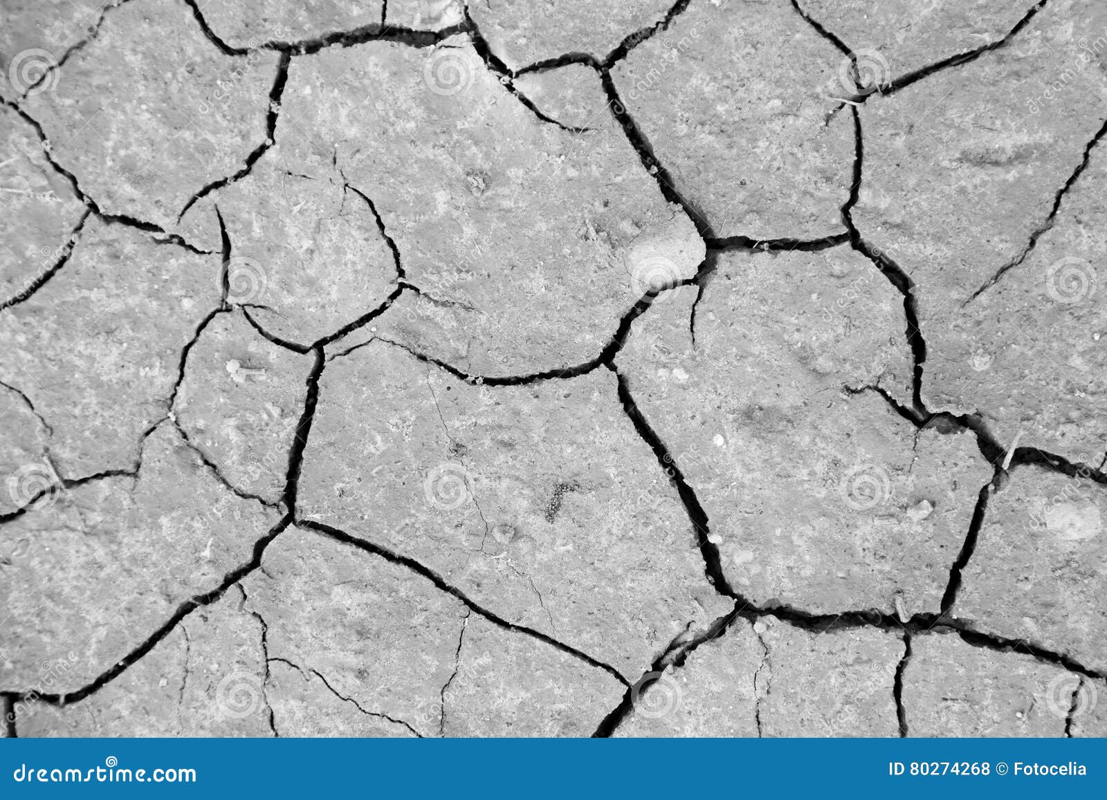 Dry and broken field stock photo. Image of drought, field - 80274268
