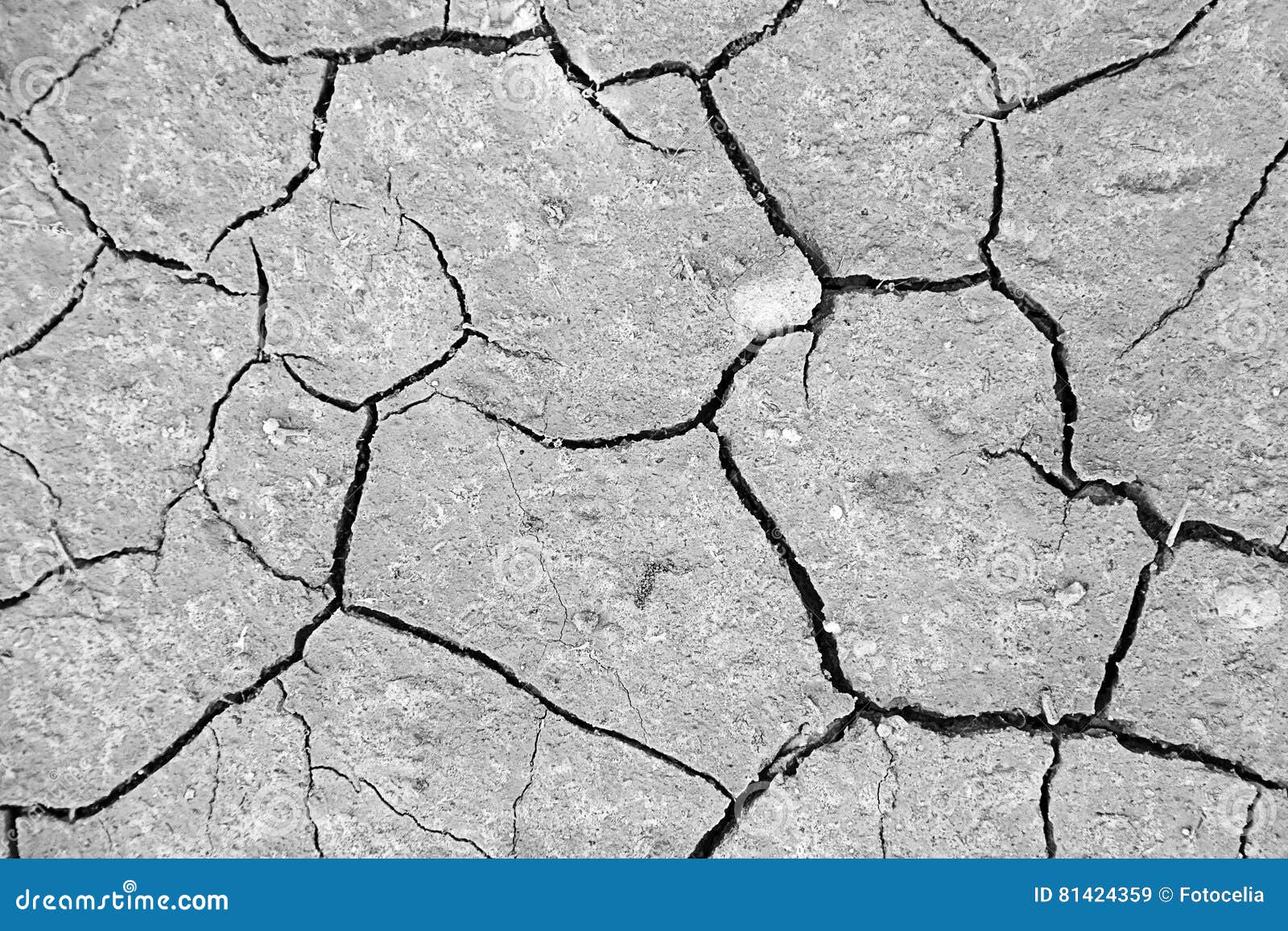 Dry and broken field stock image. Image of drought, cracks - 81424359