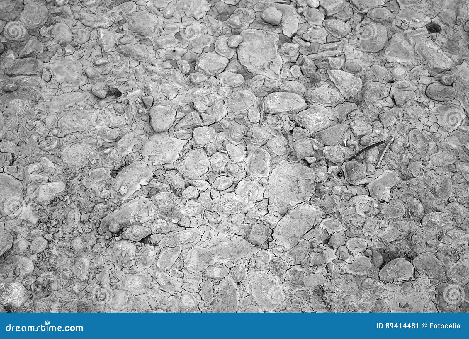 Dry and broken field stock image. Image of environmental - 89414481