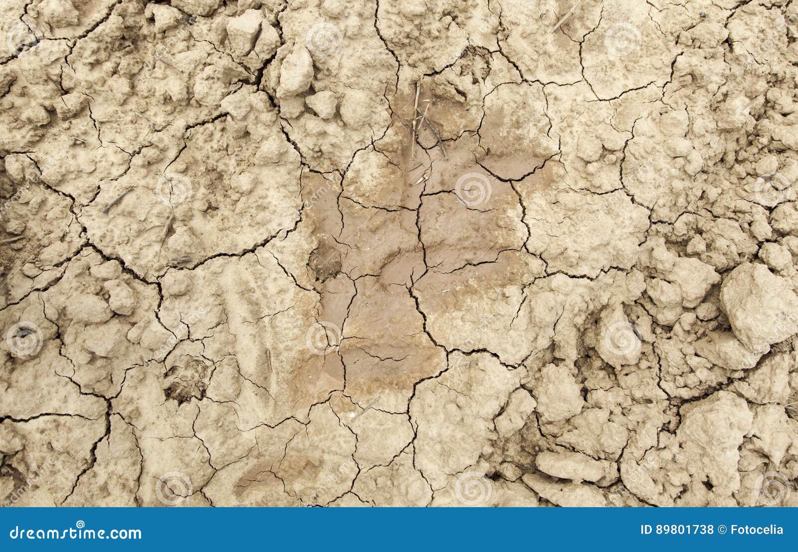 Dry and broken field stock photo. Image of ground, exterior - 89801738