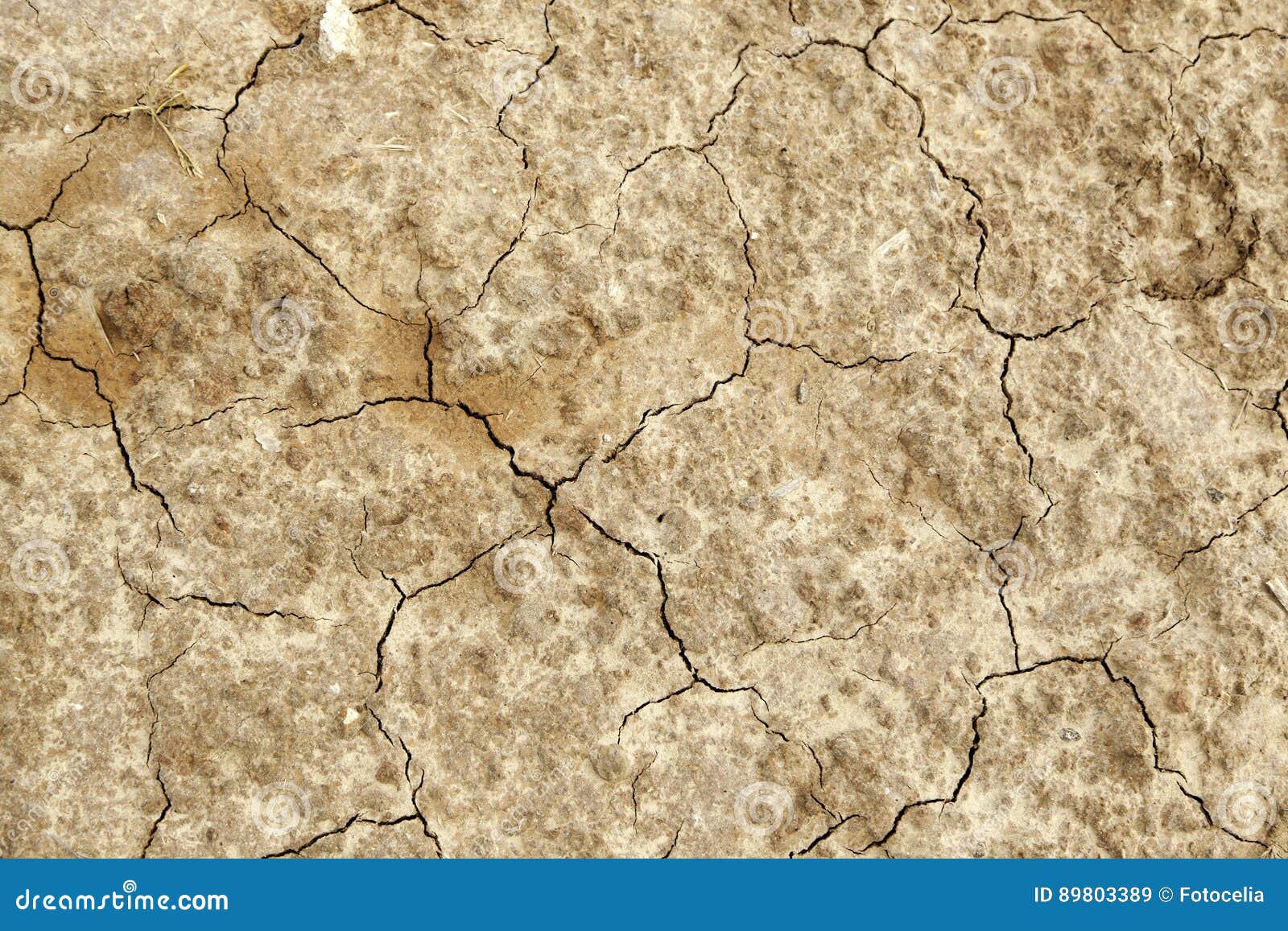 Dry and broken field stock image. Image of dust, desert - 89803389