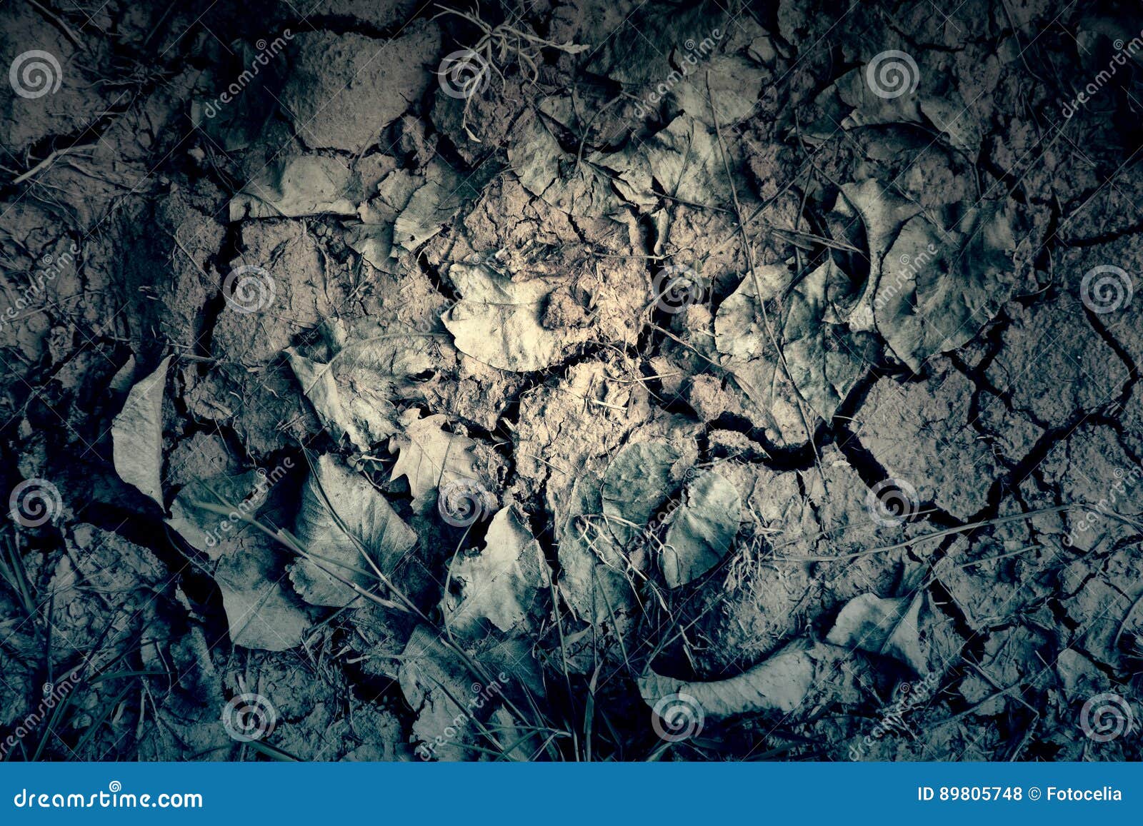 Dry and broken field stock photo. Image of damage, background - 89805748