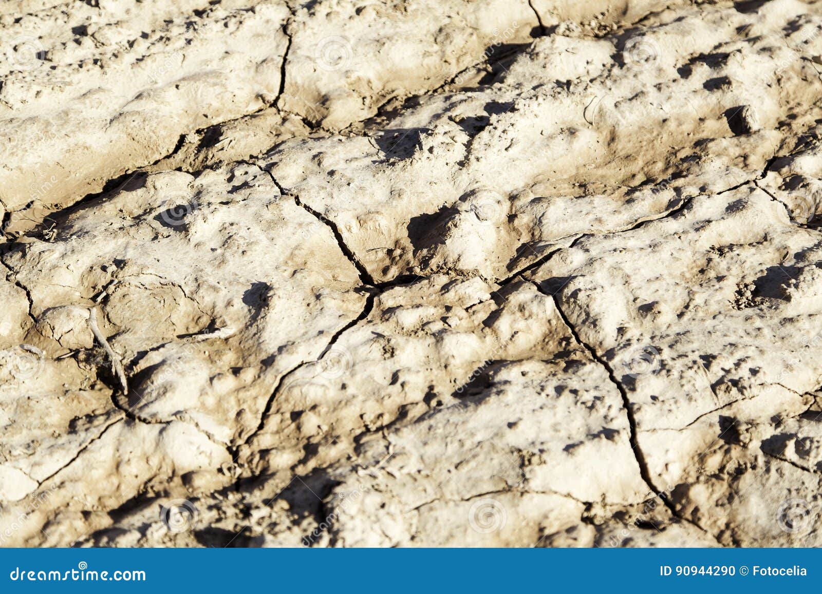 Dry and broken field stock photo. Image of isolated, form - 90944290