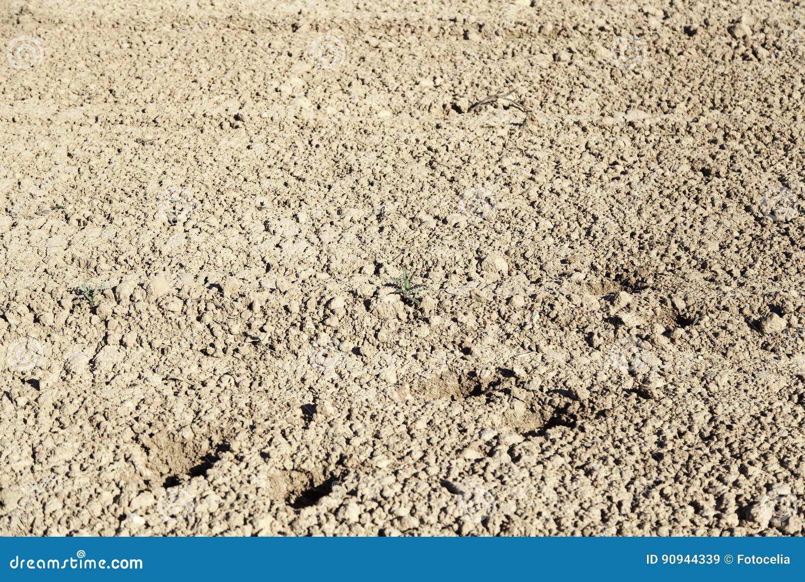 Dry and broken field stock image. Image of exterior, detail - 90944339