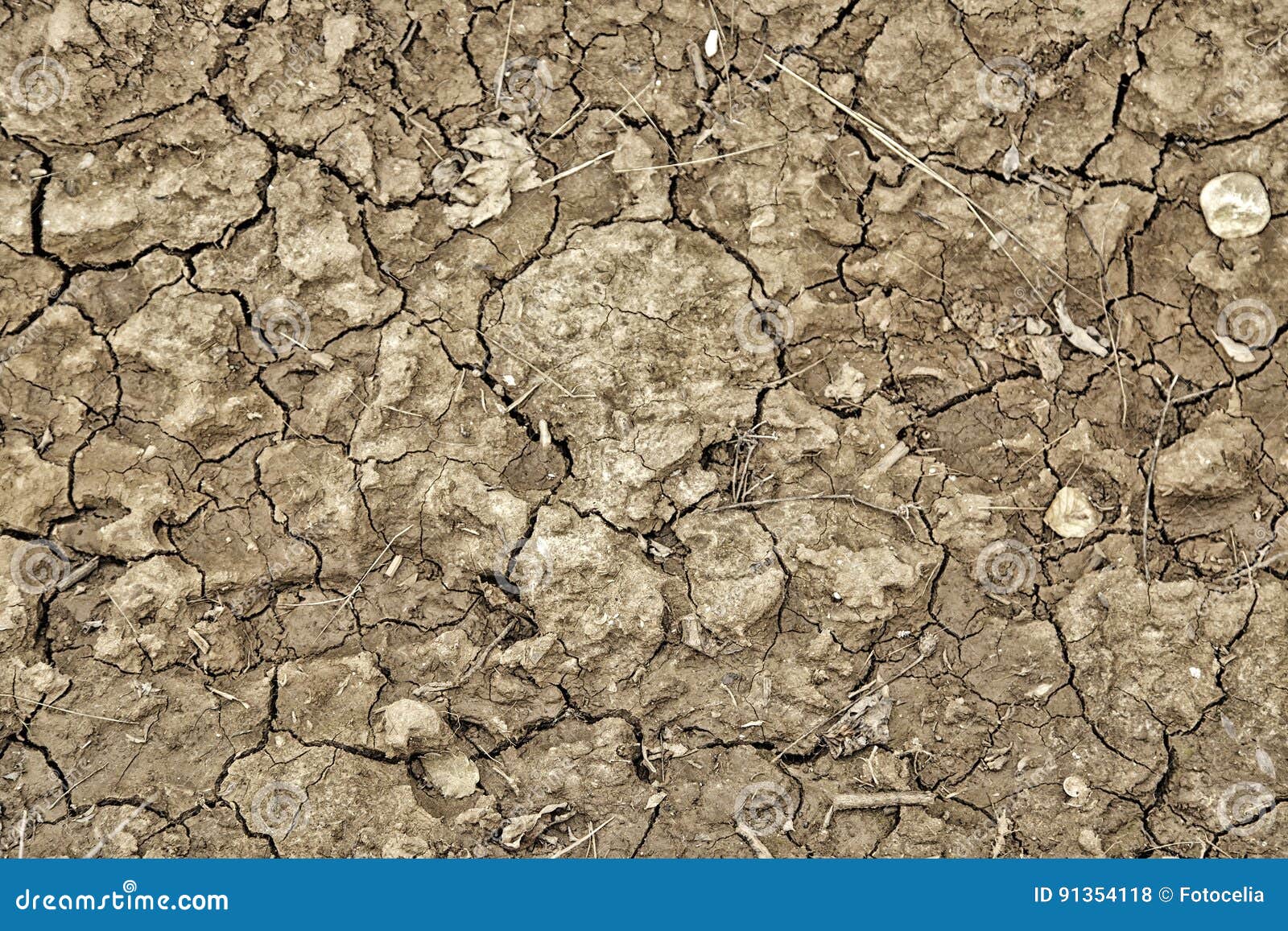 Dry and broken field stock photo. Image of desert, damage - 91354118