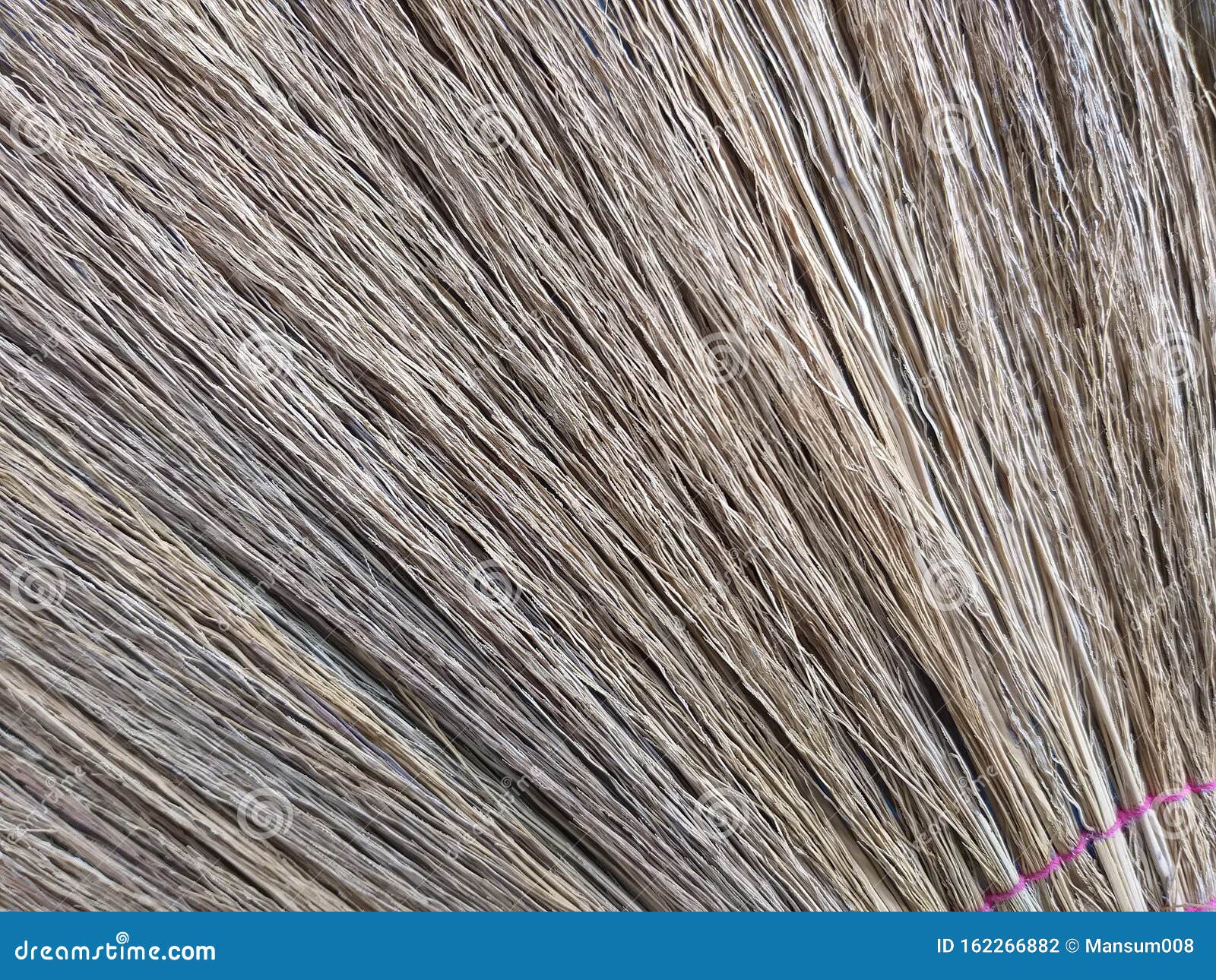 Dry broom texture stock photo. Image of backdrop, pattern - 162266882