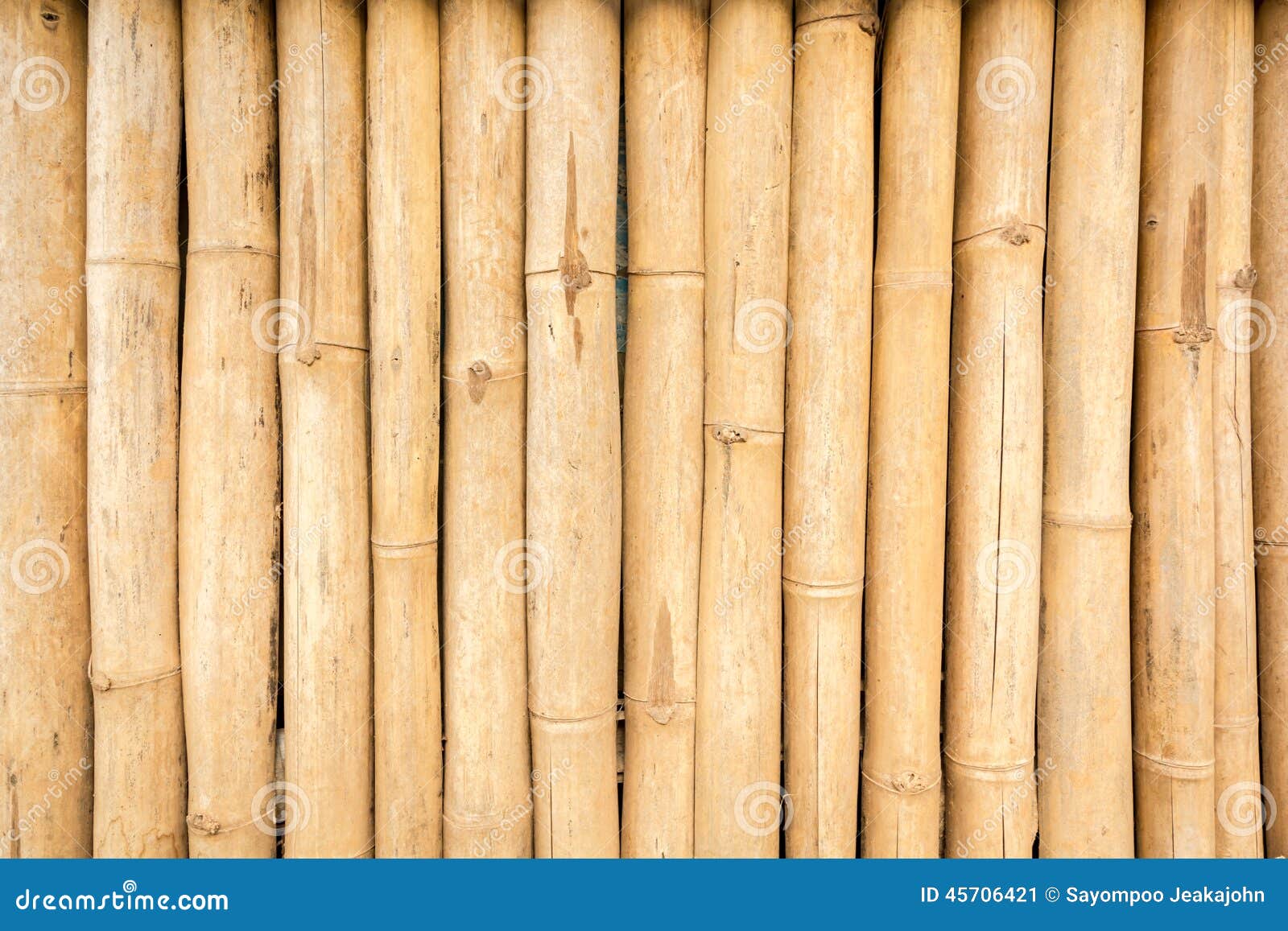 Dry Brown bamboo texture stock image. Image of wooden - 45706421