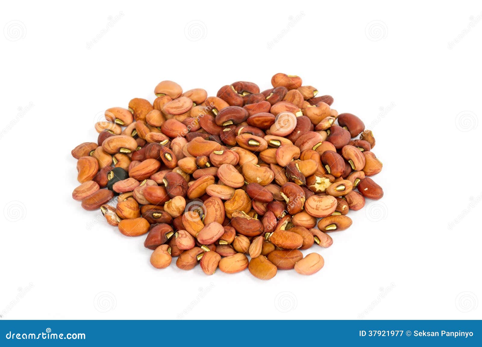Dry brown beans isolate stock image. Image of grain, harvest - 37921977