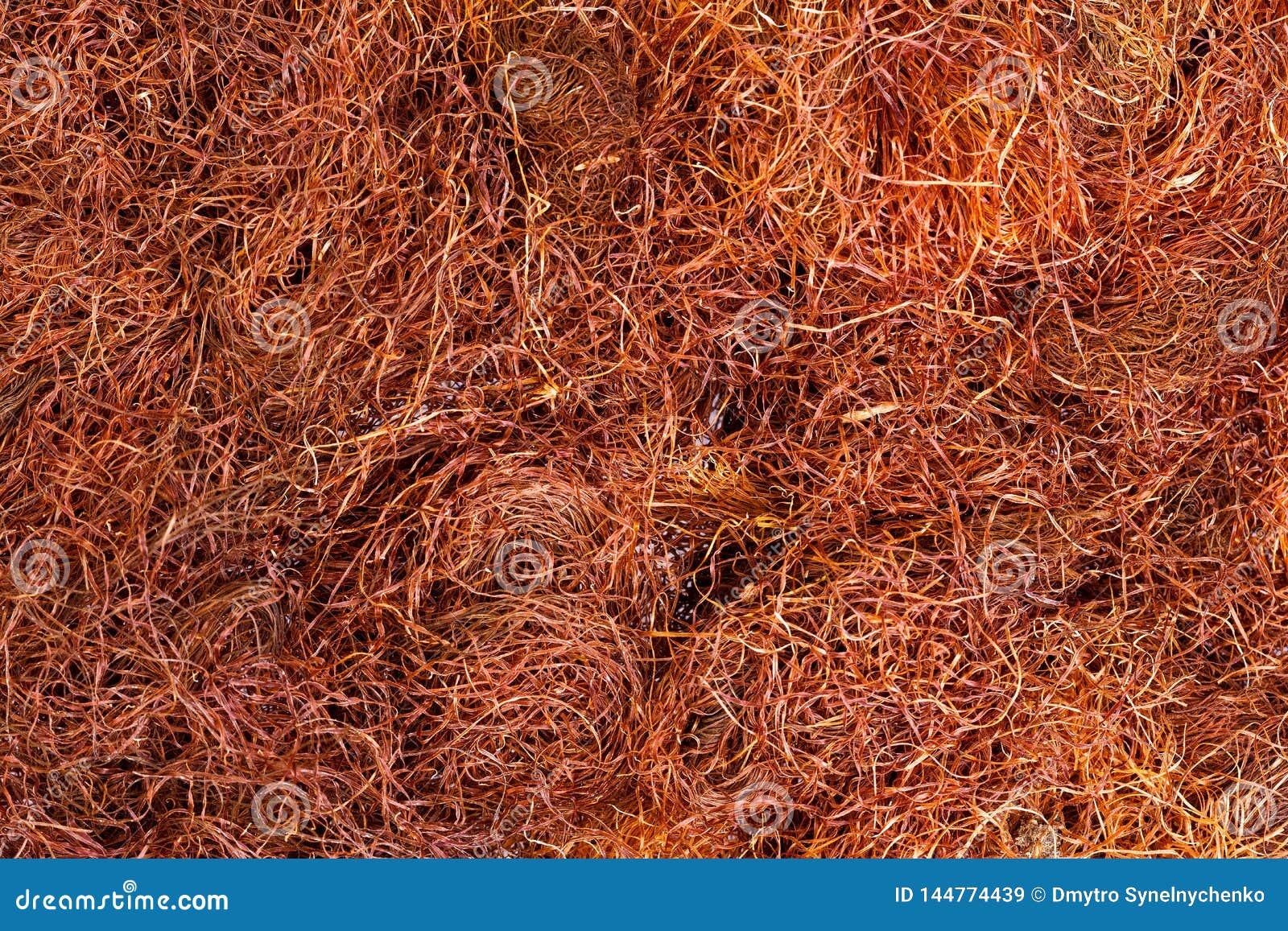 Dry Brown Corn Flowers for Medical Use. Stock Image - Image of ...