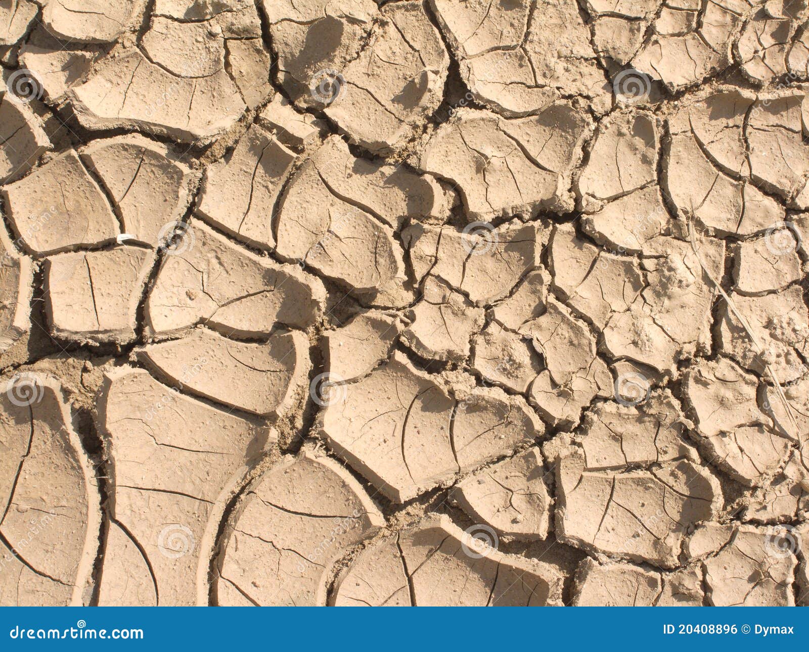 Dry Brown Lifeless Desert Land Closeup Stock Photo - Image of sandy ...