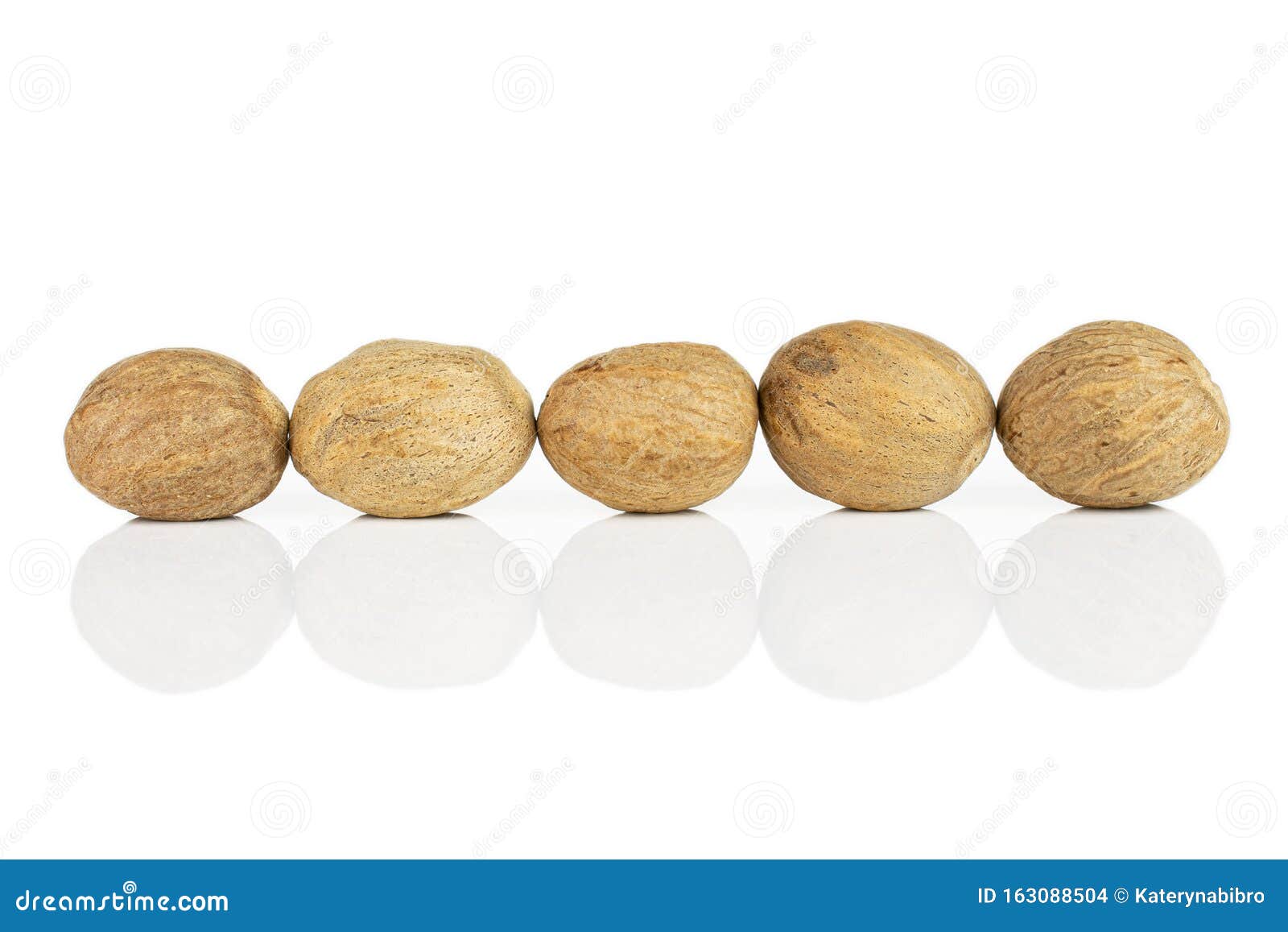 Dry Brown Nutmeg Isolated on White Stock Photo - Image of organic ...
