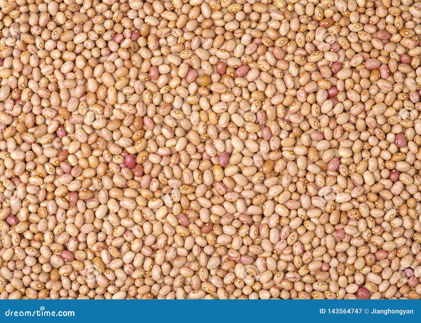 Roman bean background stock image. Image of protein - 143564747