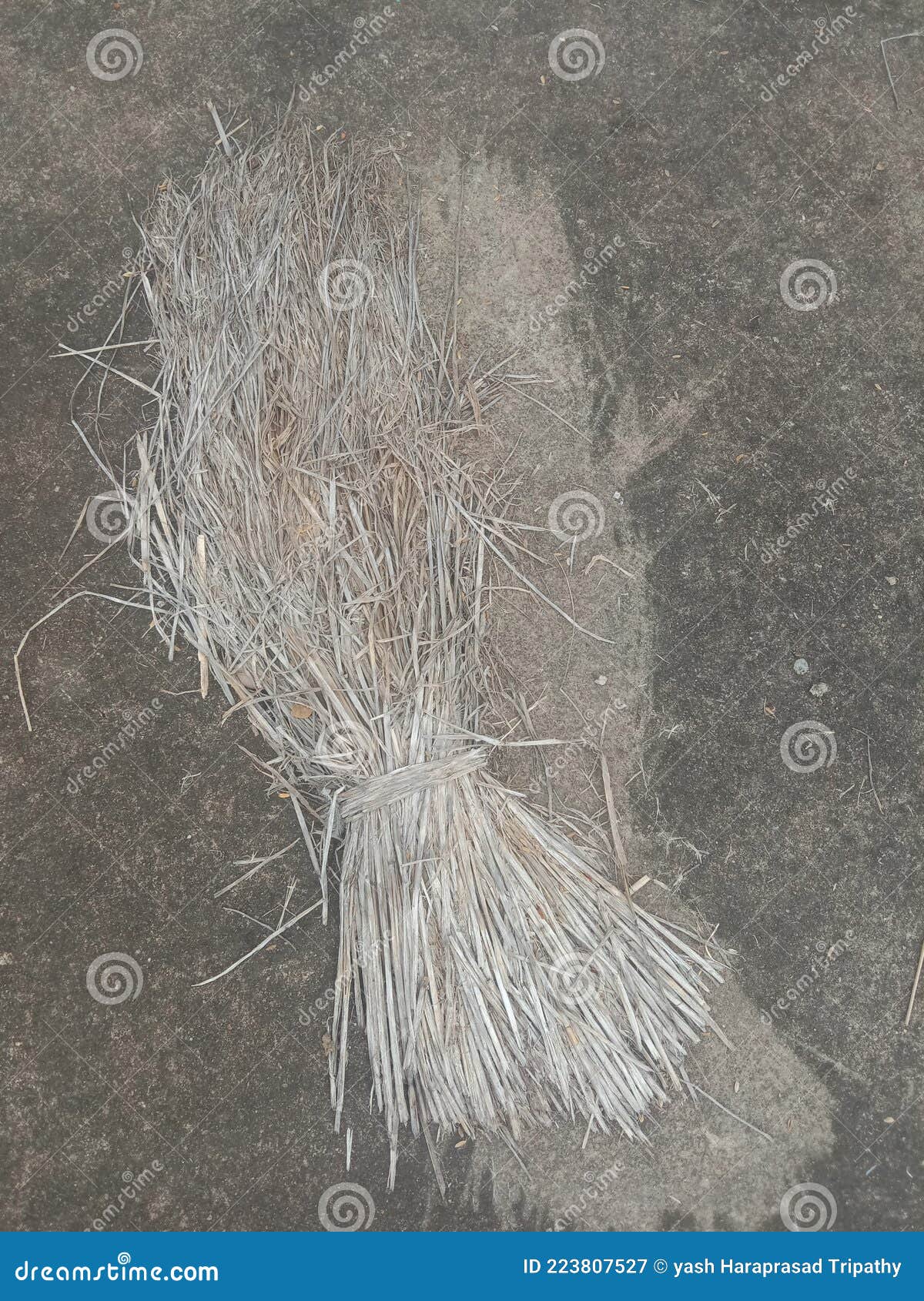 A Dry Bundle of Grass Leave it& X27;s Shape Stock Image - Image of ...