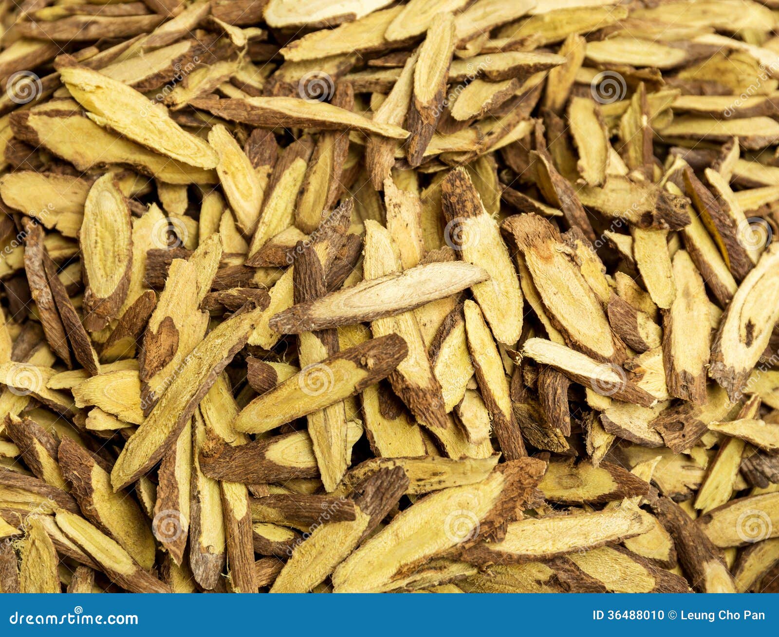 Dry burdock root stock photo. Image of healthy, root - 36488010