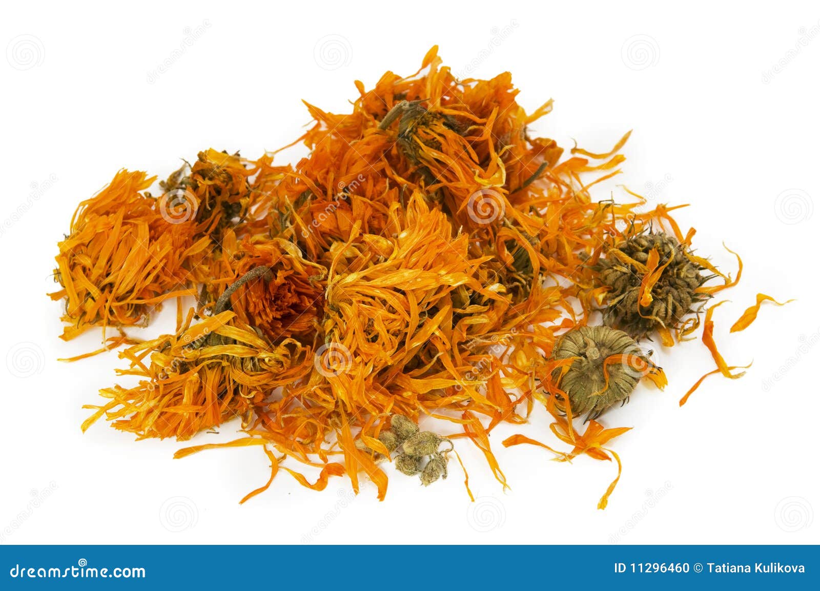 Dry calendulae flowers stock photo. Image of focus, driedd - 11296460
