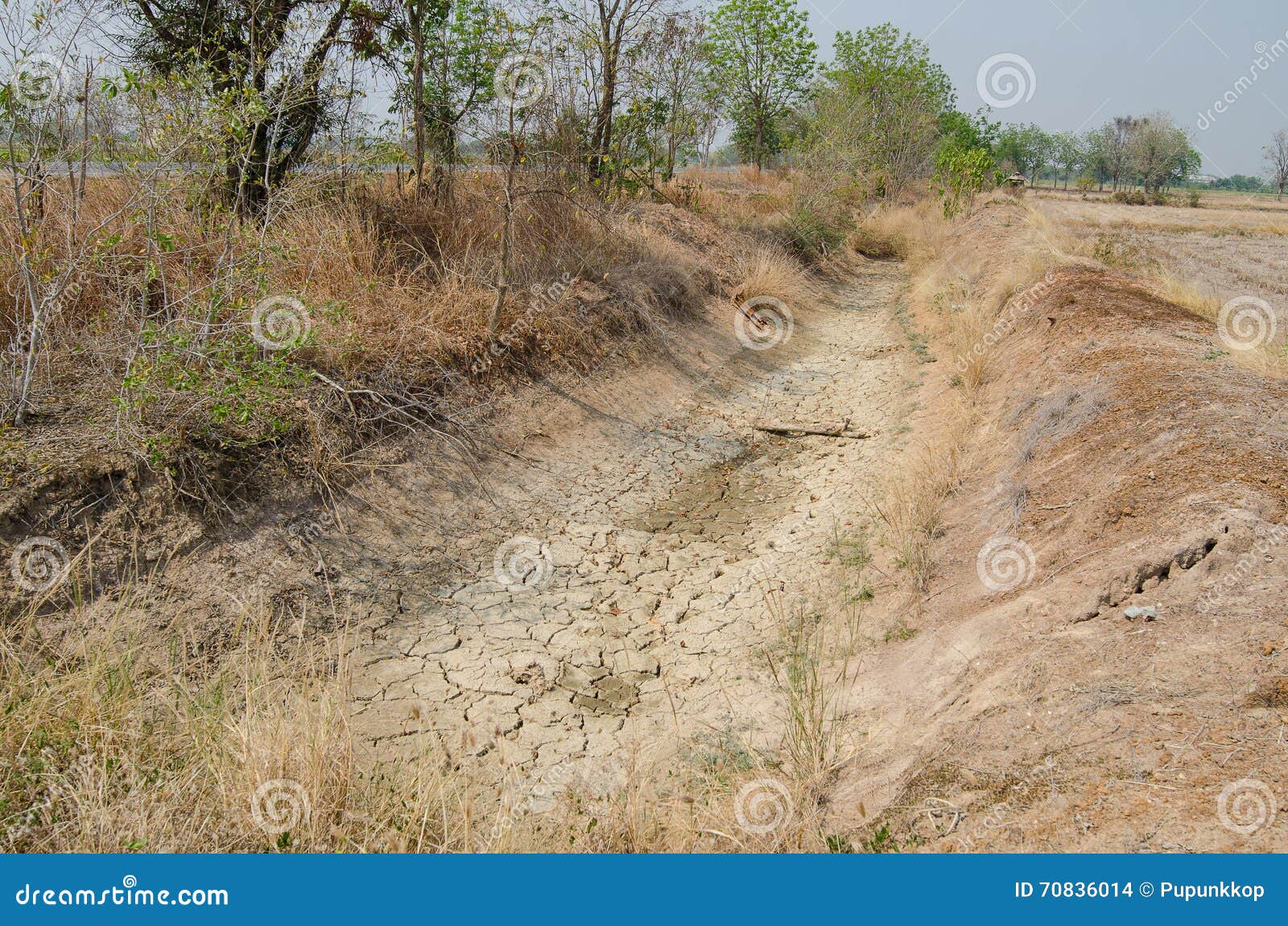 Dry canal stock photo. Image of crack, landscape, earth - 70836014