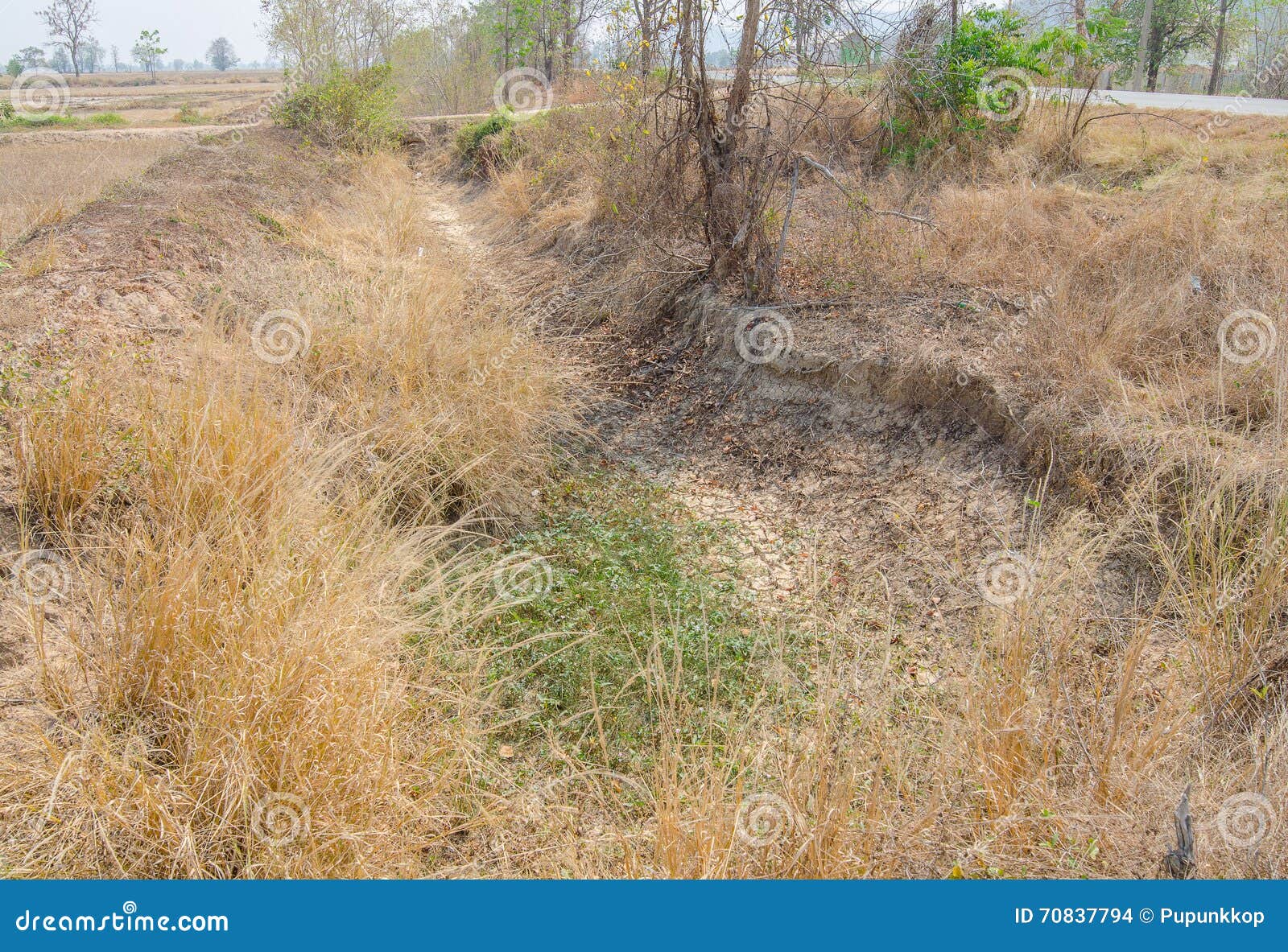 Dry canal stock photo. Image of rural, ecology, water - 70837794
