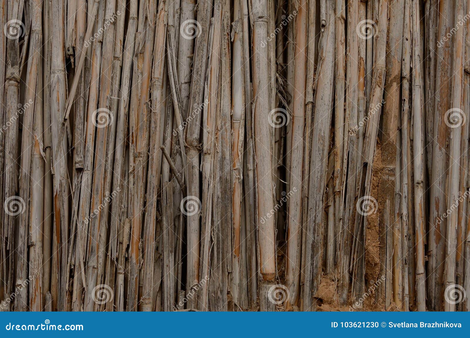 Dry Cane and Clay Texture of a Mud Hut of a Structure Brown Close Up ...