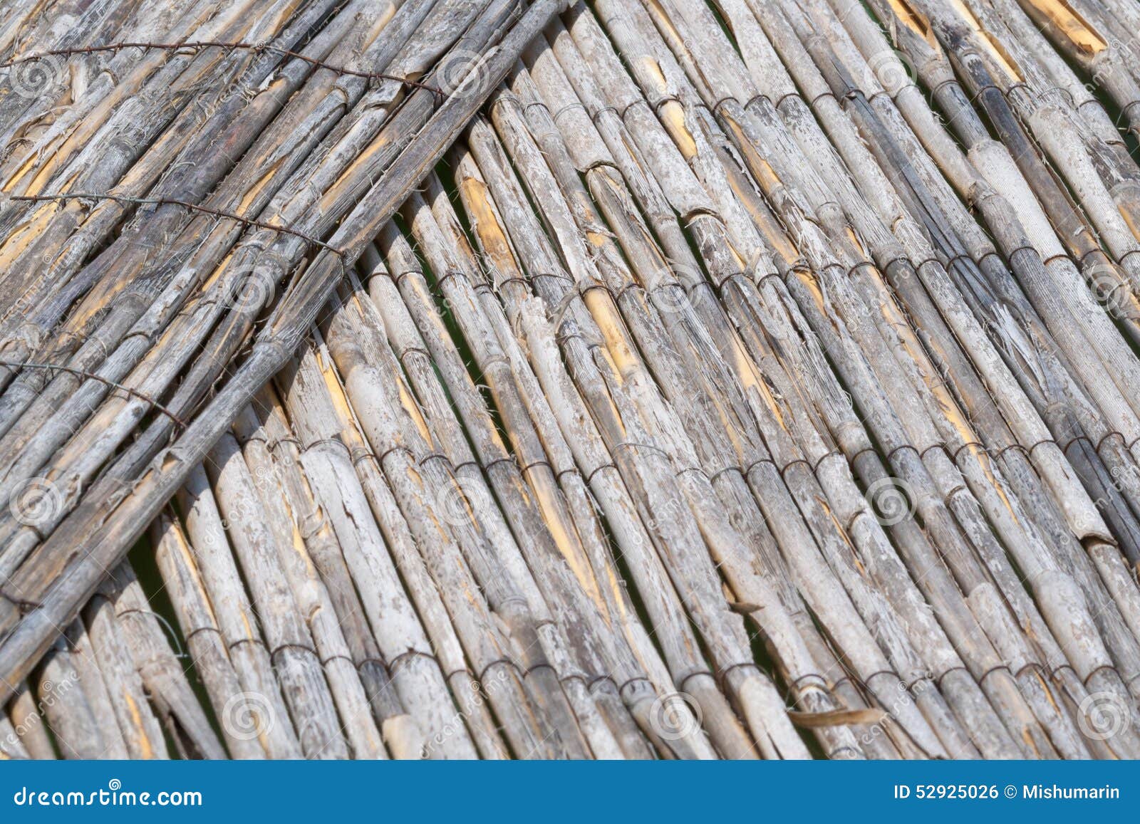 Dry cane stock photo. Image of close, wall, design, roof - 52925026