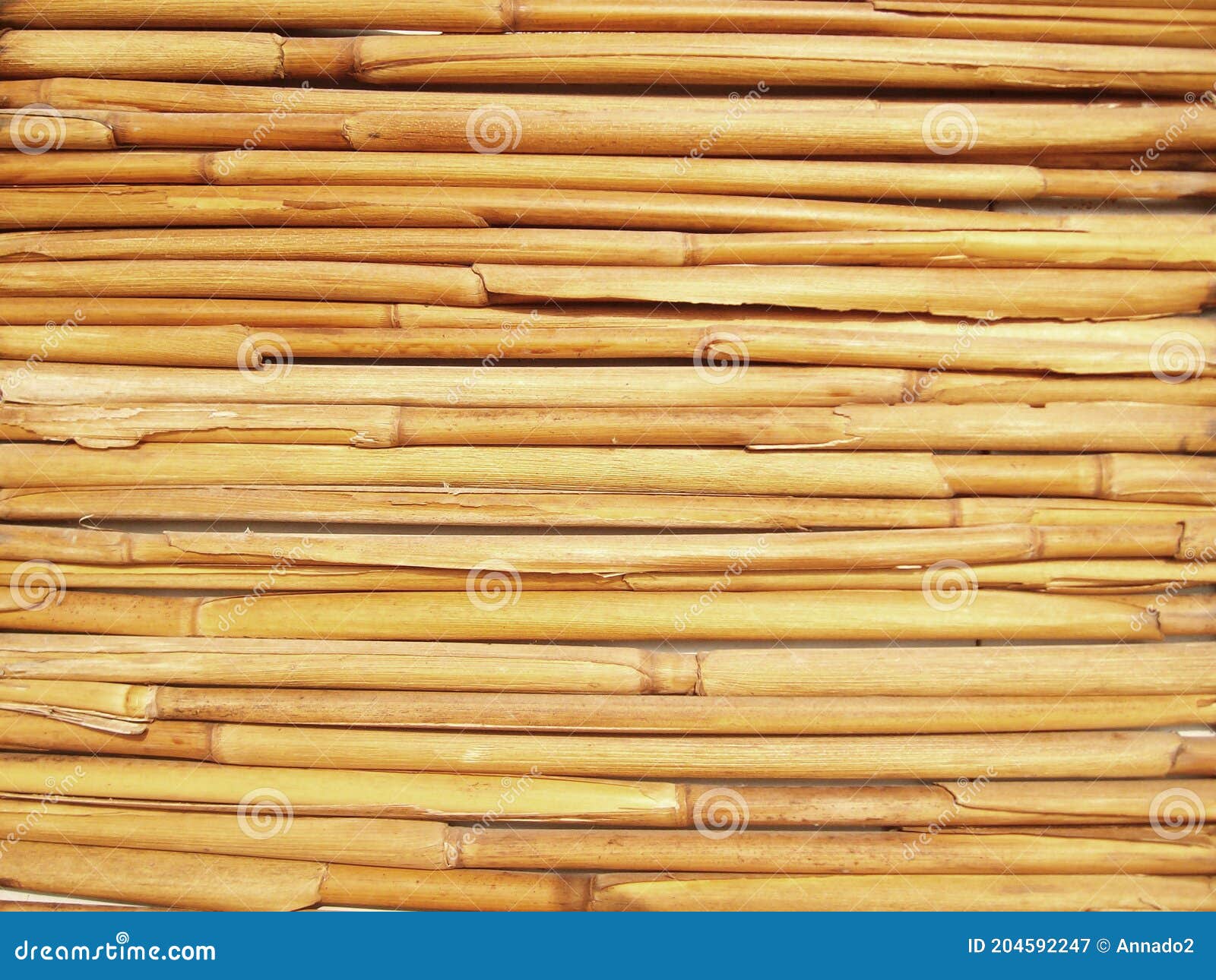 Cane Texture And Background Stock Photography | CartoonDealer.com #69249620