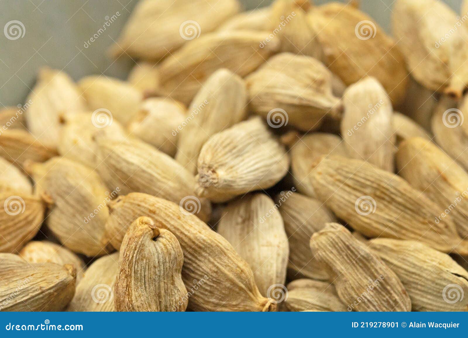Dry cardamom close up stock image. Image of macro, asian - 219278901