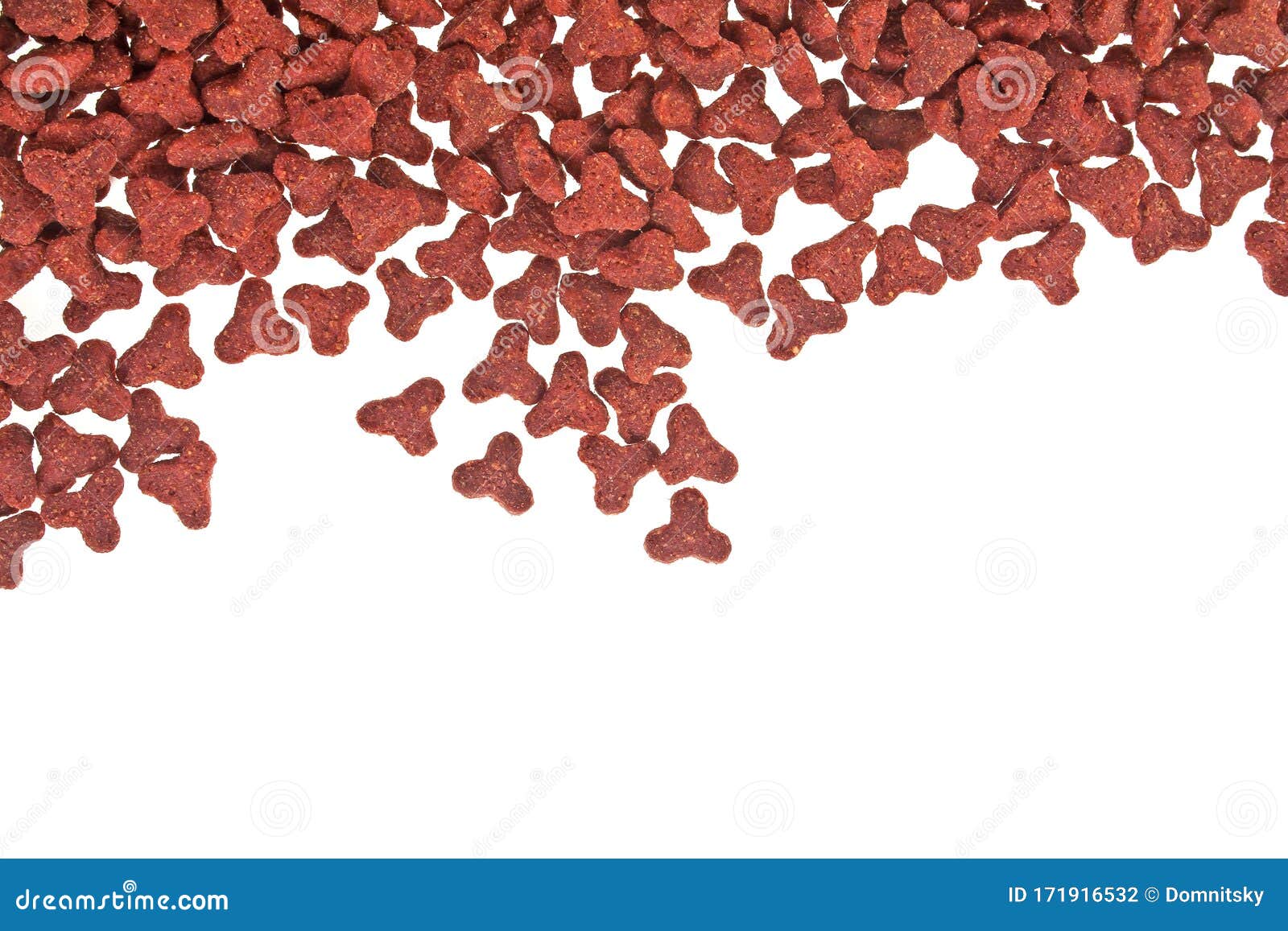 Dry Cat Food Isolated on White Background Stock Photo - Image of pieces ...