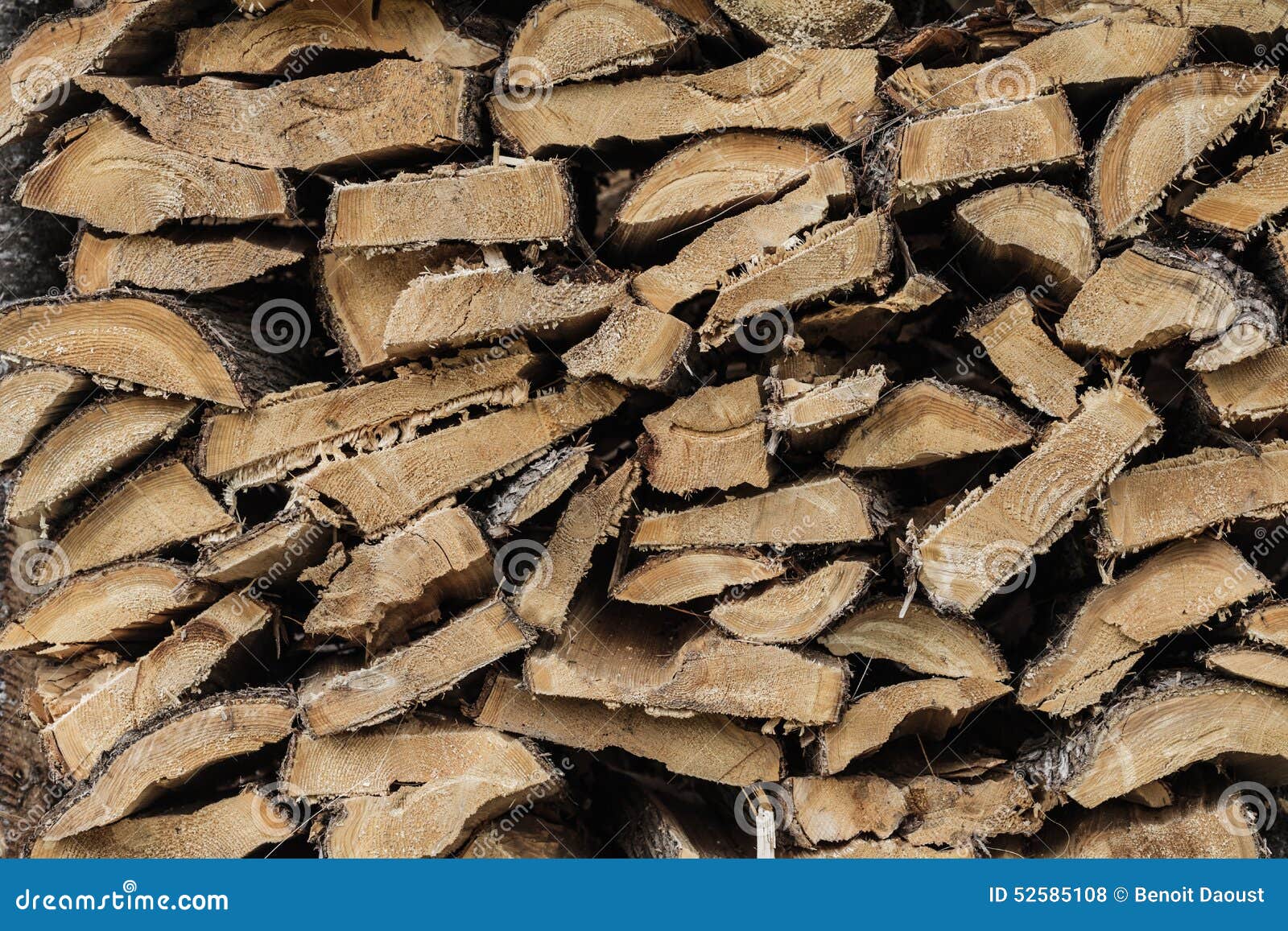 Dry Cedar Lighting Firewood Texture Stock Photo - Image of forest ...