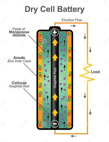 Dry Cell Battery Structure. Vector Graphic Design. Stock Vector ...