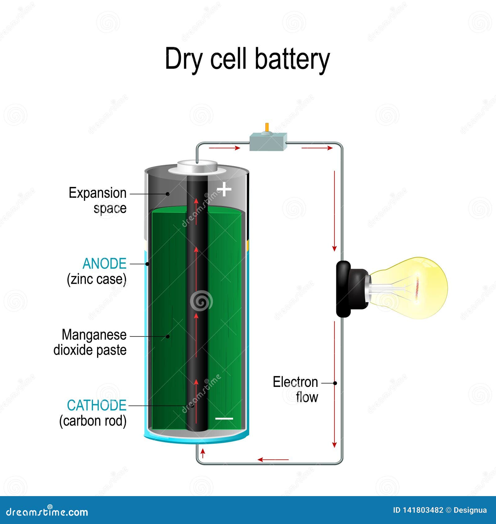 Dry Cell. Cross Section Of Battery With Cathode, Anode, Paste, Light ... Dry Cell. Cross Section Of Battery With Cathode, Anode, Paste, Light ...