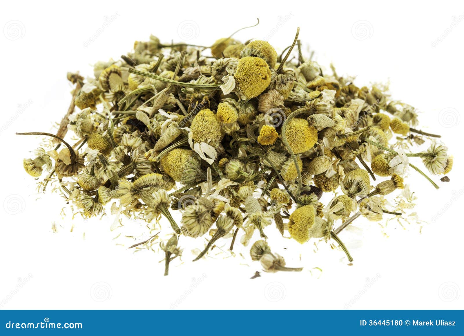 Dry chamomile herb stock photo. Image of alternative - 36445180