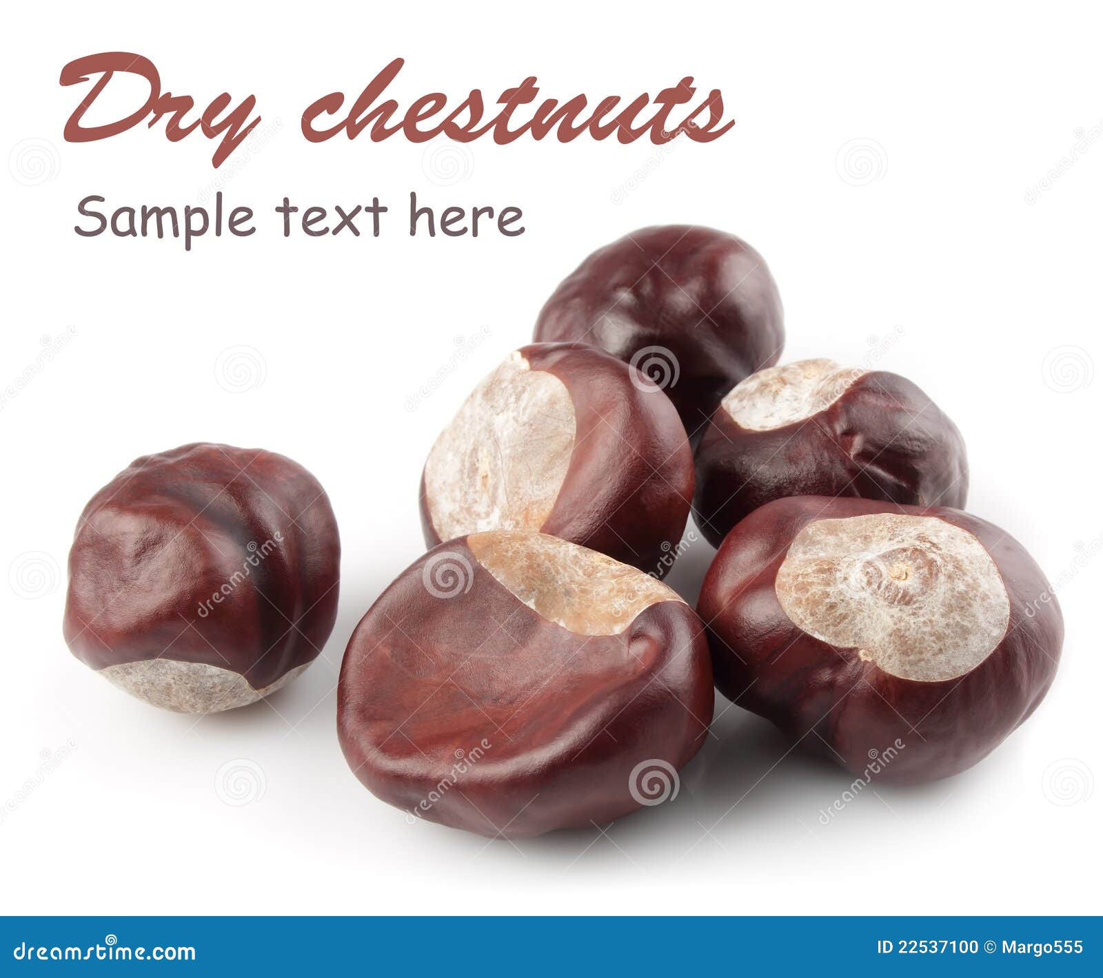 Dry chestnut stock photo. Image of sweet, isolated, medicine - 22537100