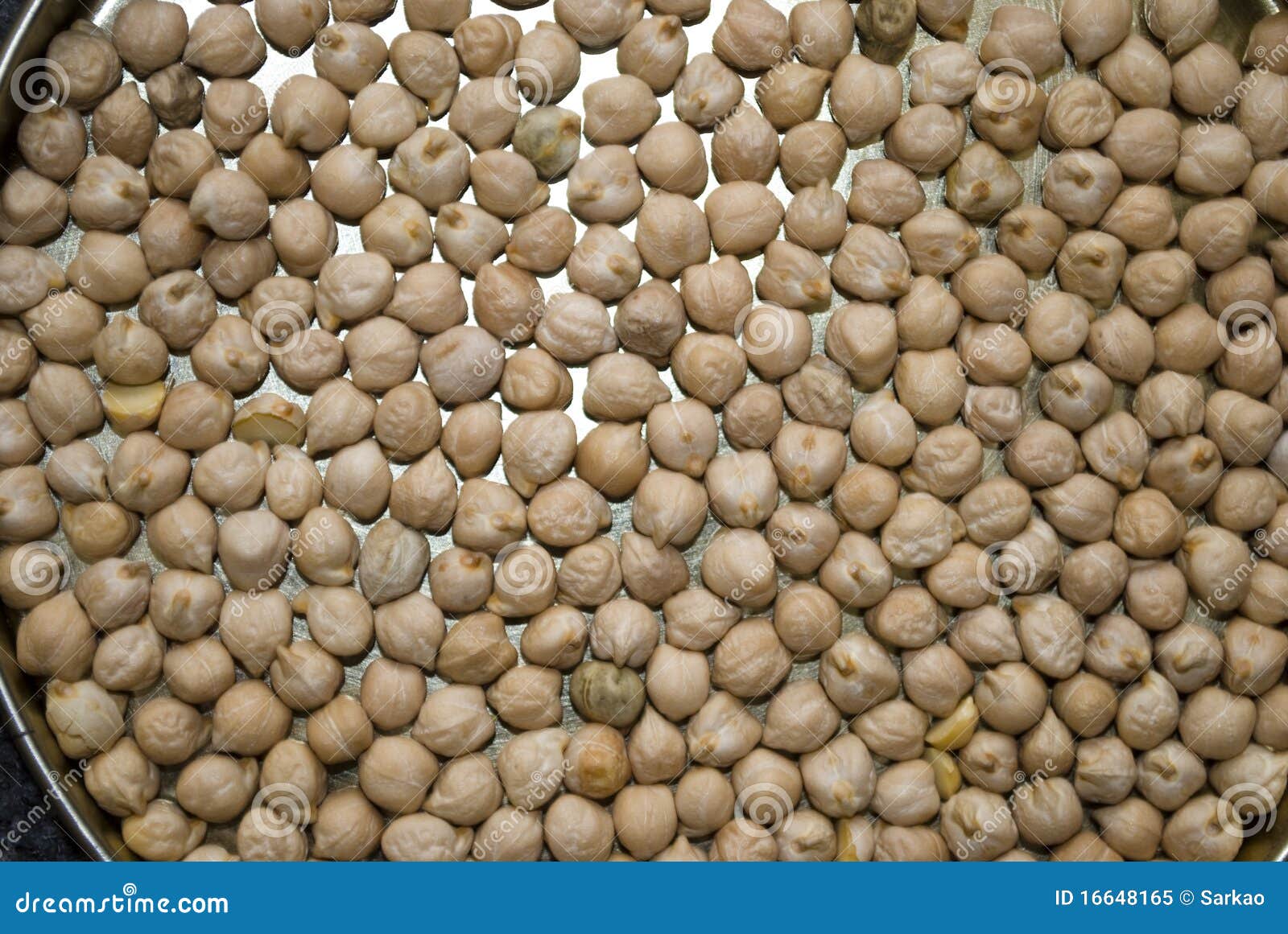 Dry chickpea stock image. Image of assortment, dried - 16648165